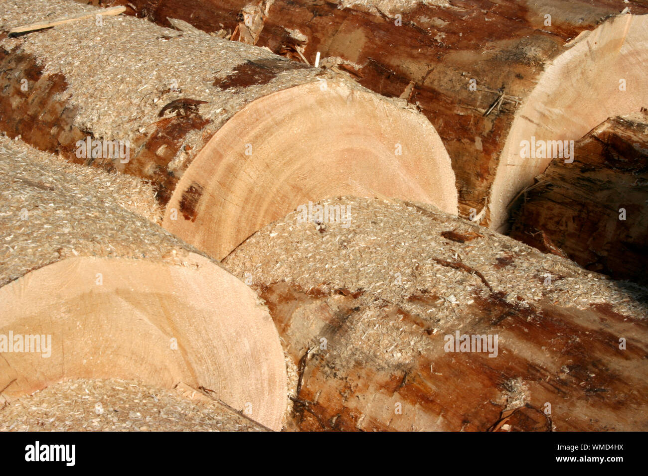 Tree Log Background Stock Photo - Alamy