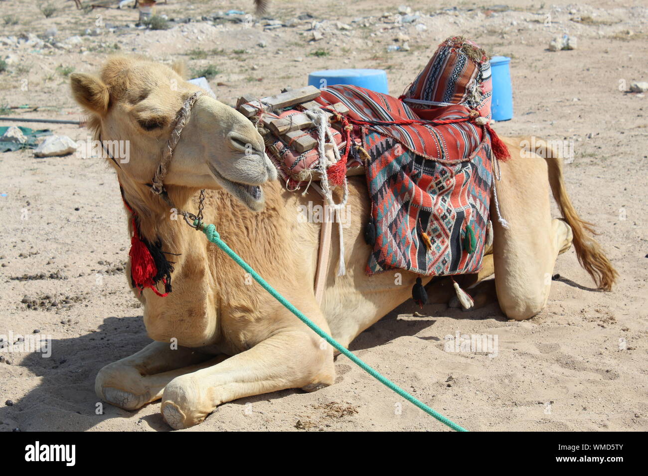 Relaxing climate hi-res stock photography and images - Alamy