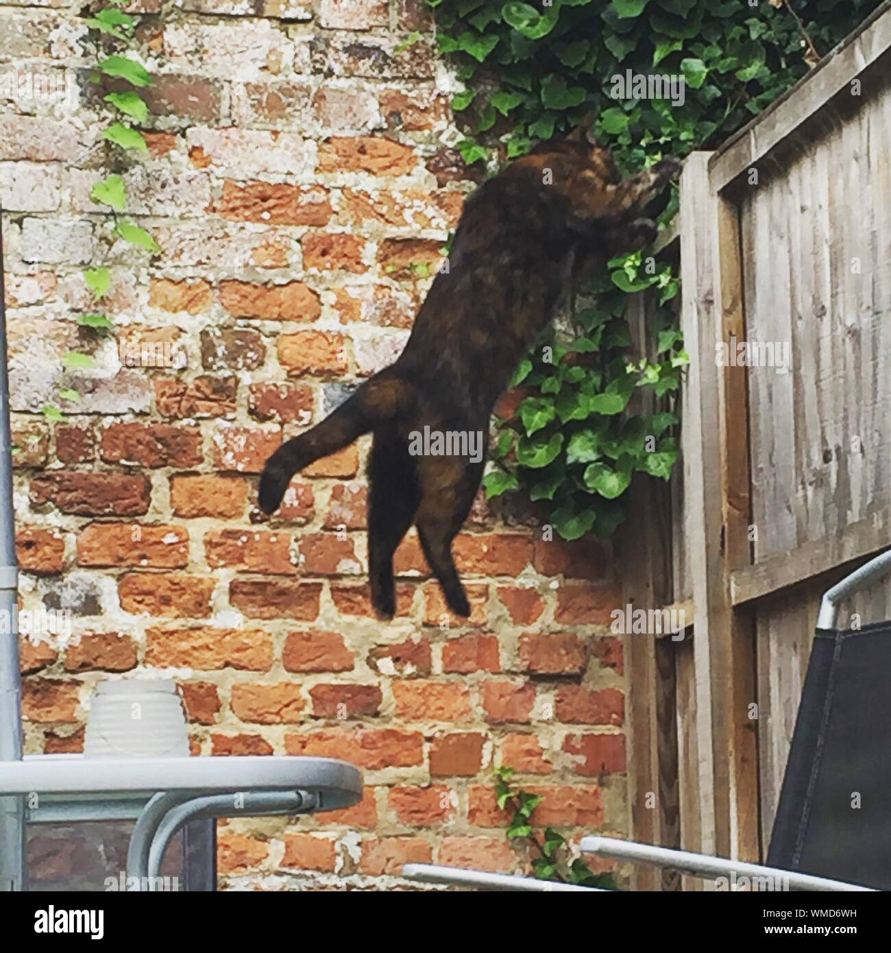 Yard jumping hi-res stock photography and images - Alamy