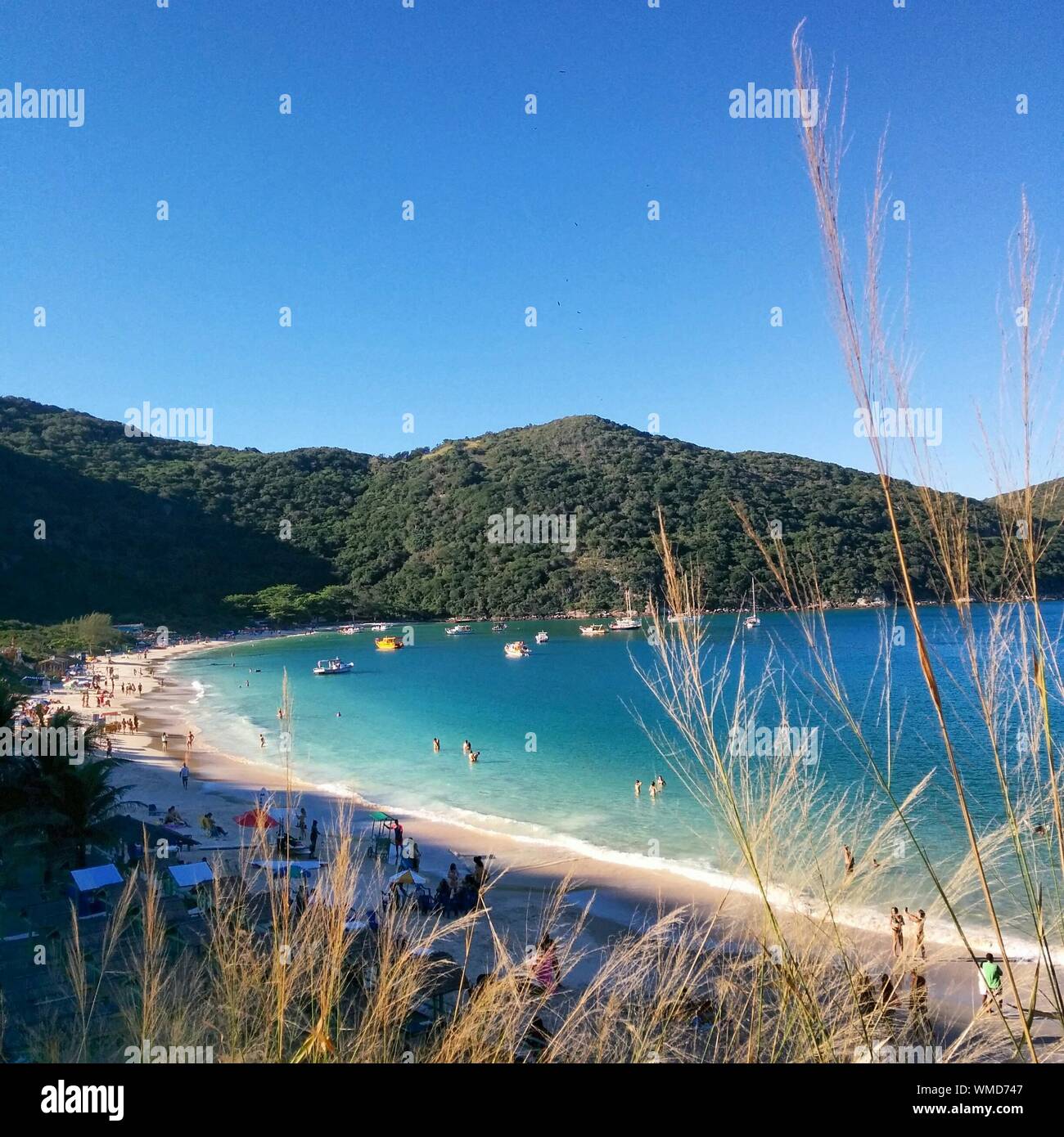 Elevated view of bay and beach hi-res stock photography and images - Alamy