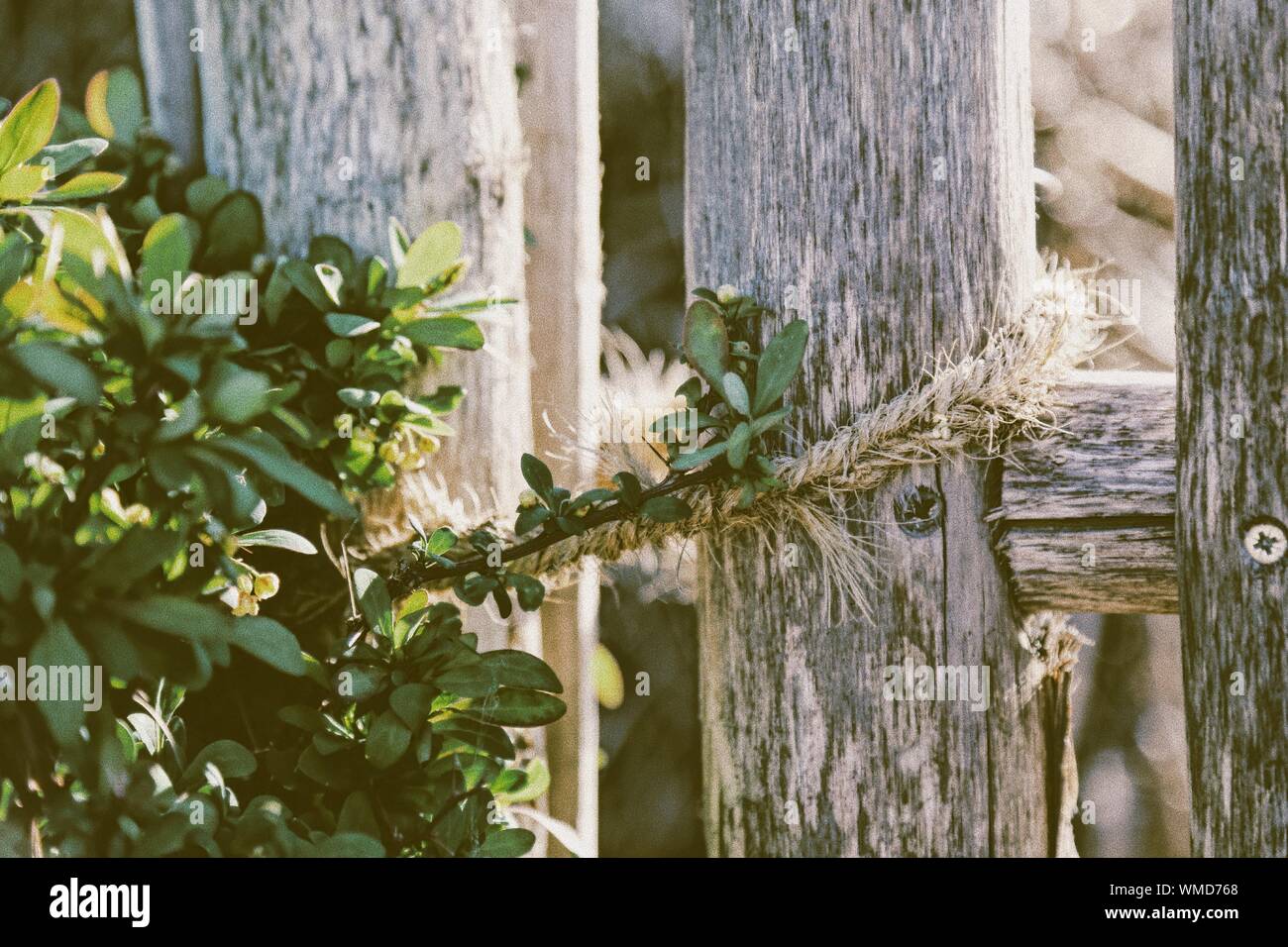 Rope And Post Fence High Resolution Stock Photography and Images - Alamy