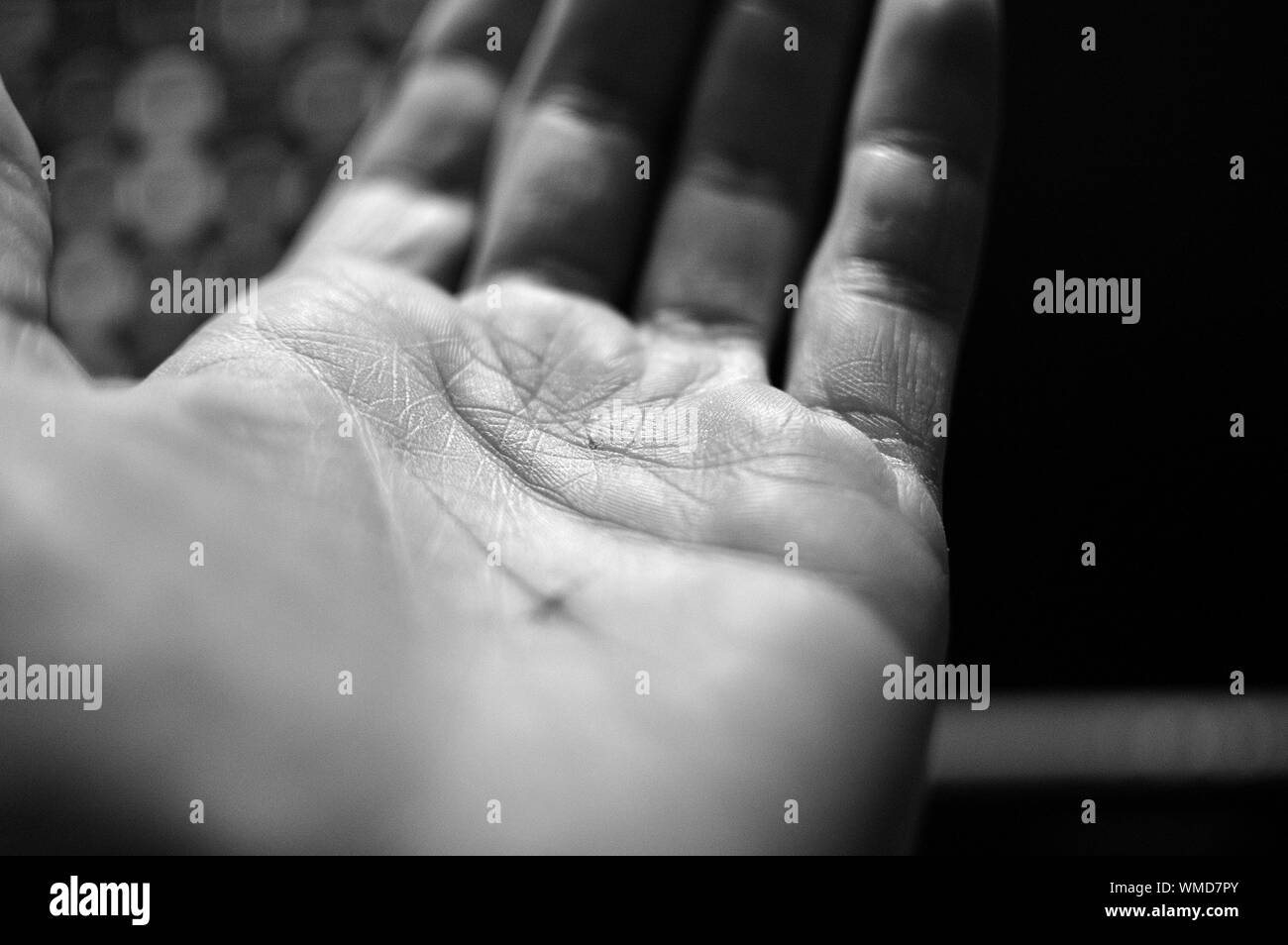 Detail Shot Of Human Hand Stock Photo - Alamy