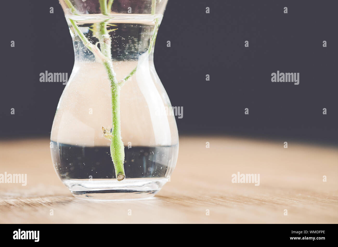 Plant stem and water hi-res stock photography and images - Alamy