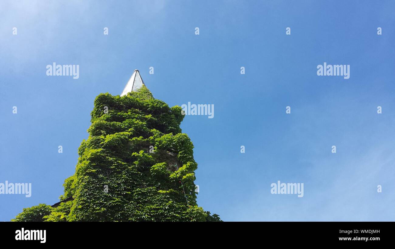 Ivy tower hi-res stock photography and images - Alamy
