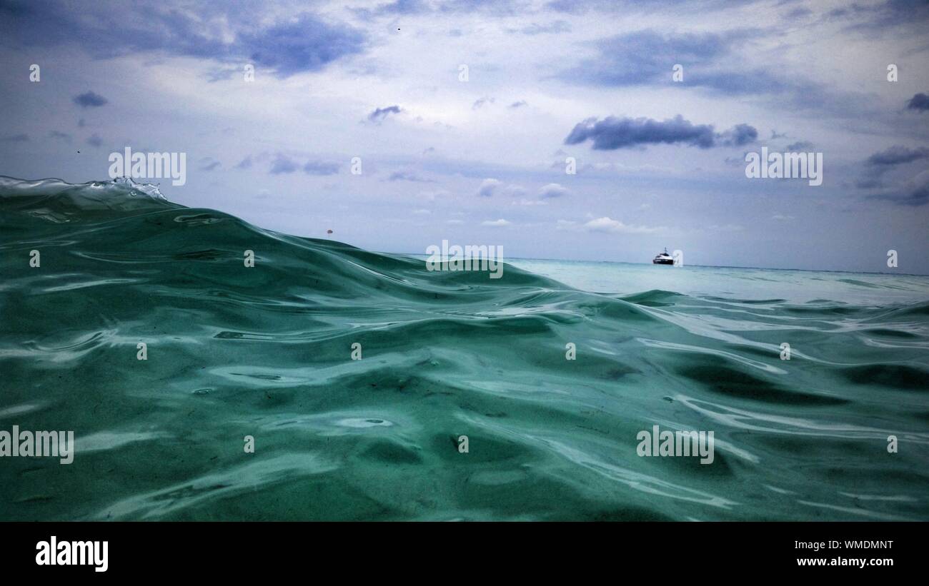 Swimming and perspective hi-res stock photography and images - Alamy