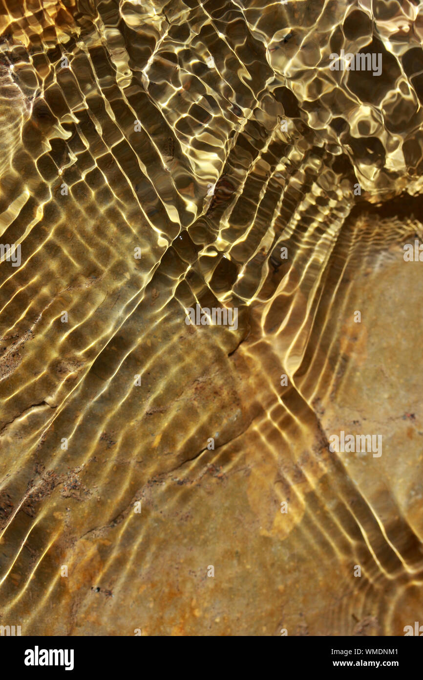The bottom of a clear stream Stock Photo - Alamy