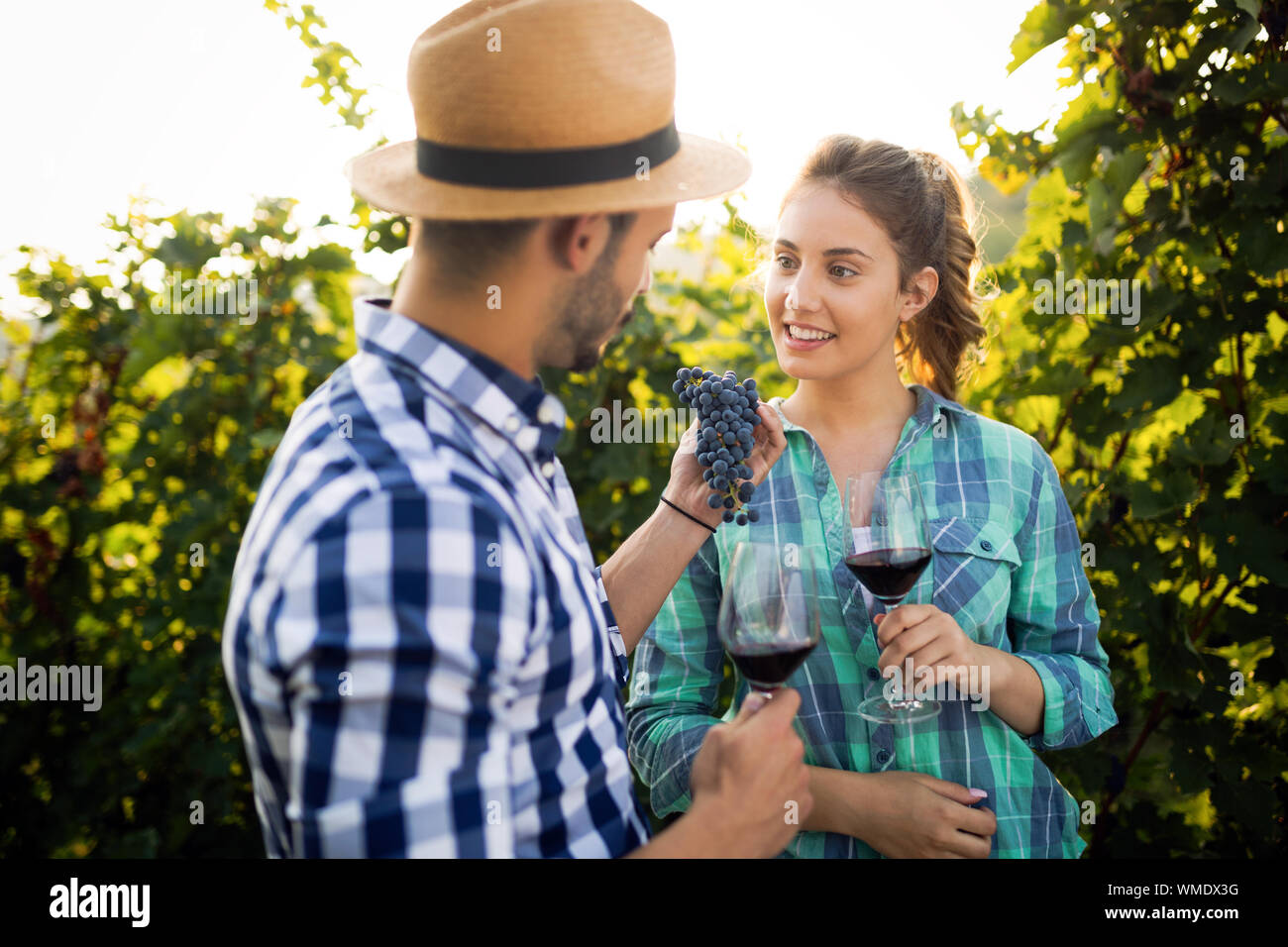 Picture of people tasting red wine in vineyard Stock Photo - Alamy