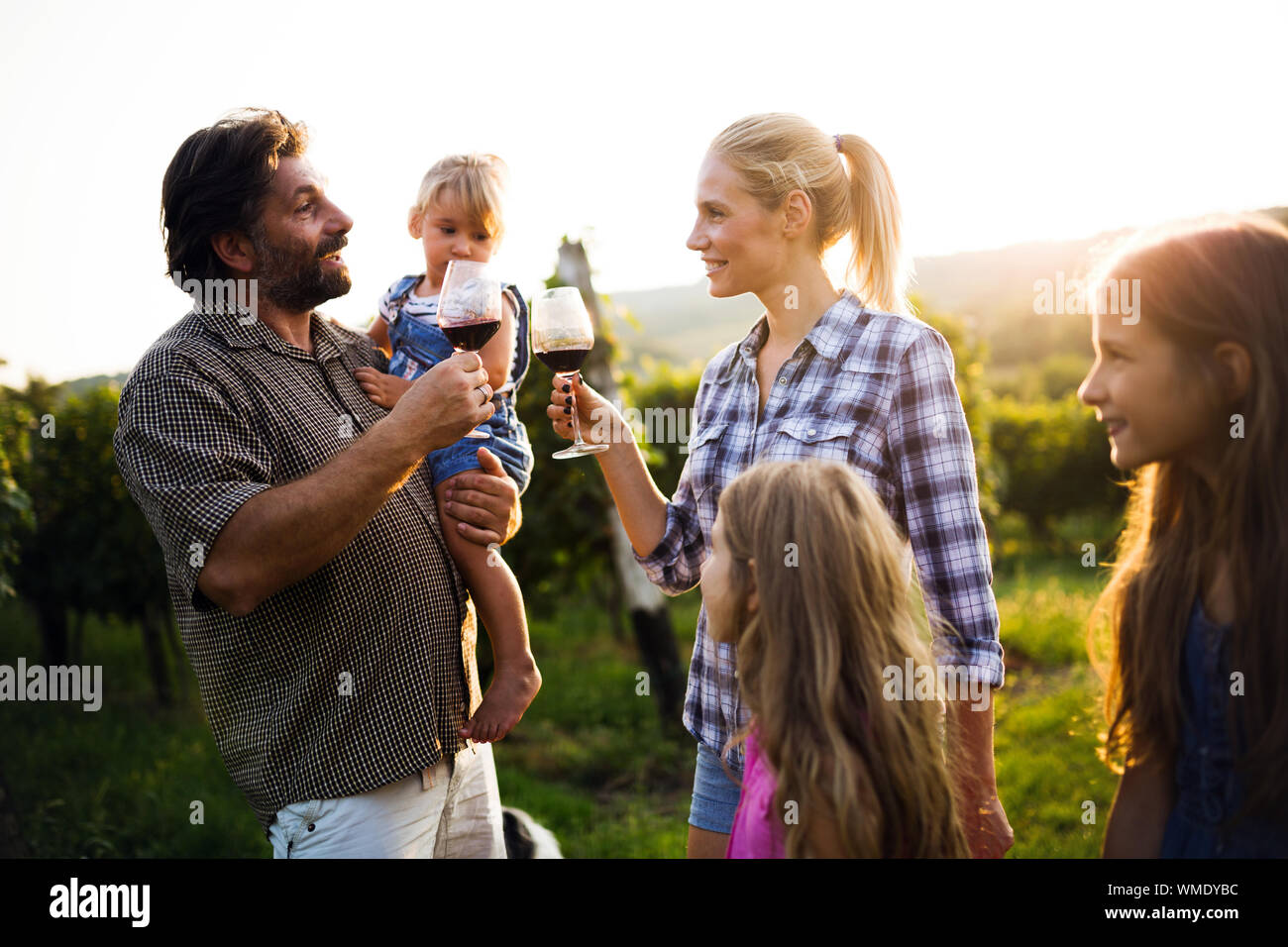 Wine growers tasting wine in vineyard nature Stock Photo - Alamy