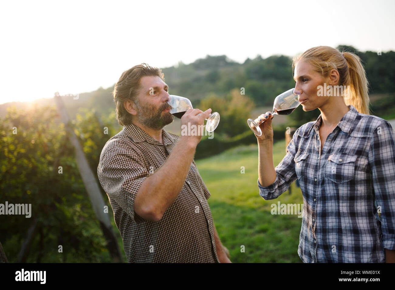 Wine growers tasting nice wine in vineyard Stock Photo - Alamy