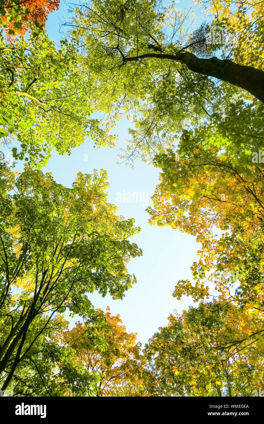 Fall beauty, weather and seasons concept - Autumn nature scene ...