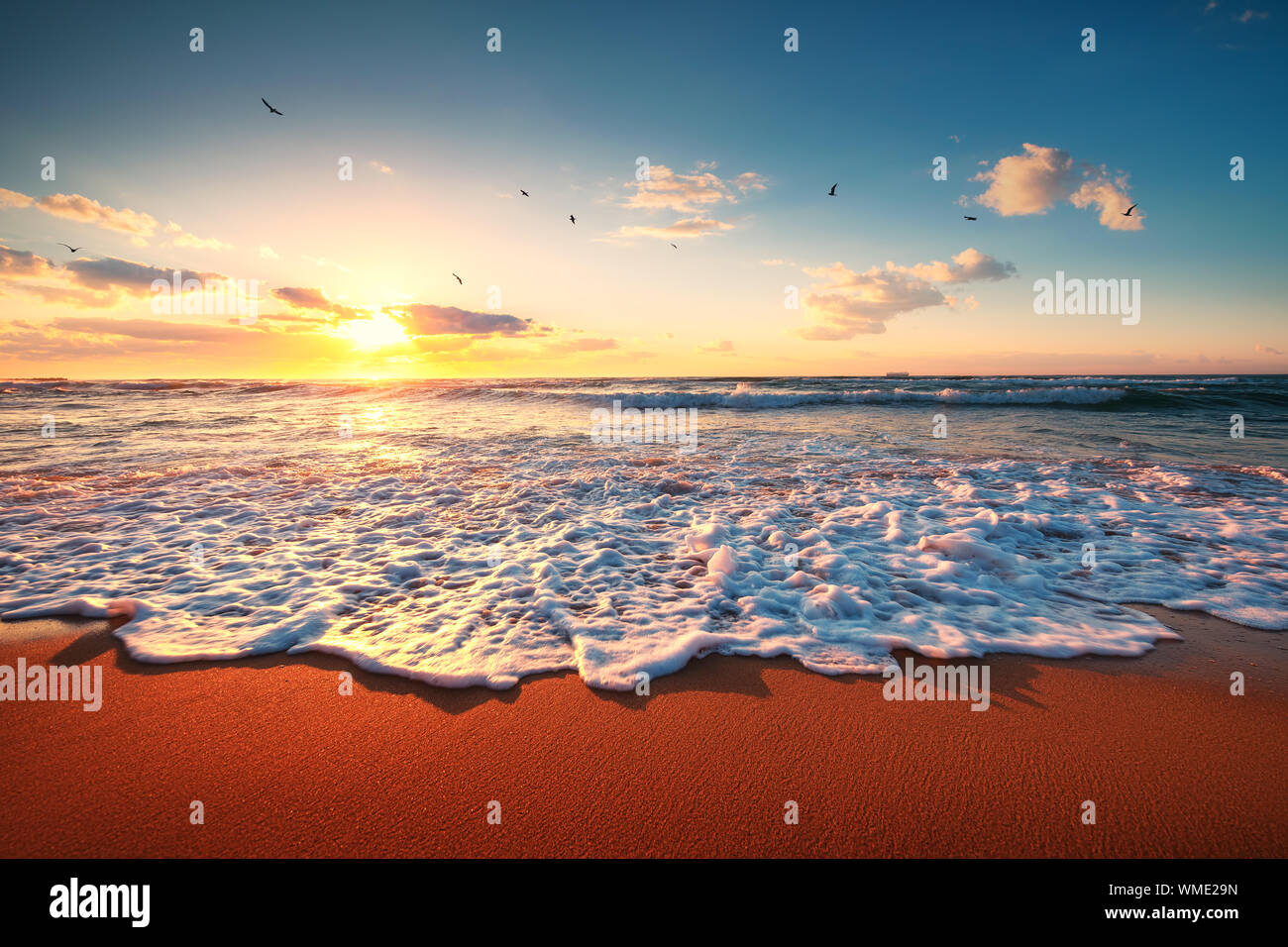 Flying over sunset golden beach hi-res stock photography and images - Alamy