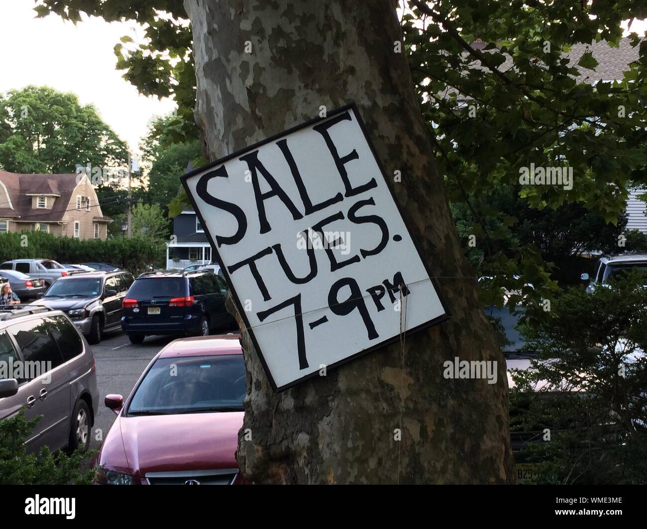No parking sign on tree hi-res stock photography and images - Alamy