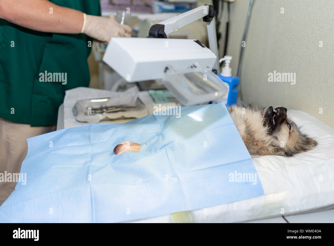 Surgery under anesthesia hi-res stock photography and images - Alamy