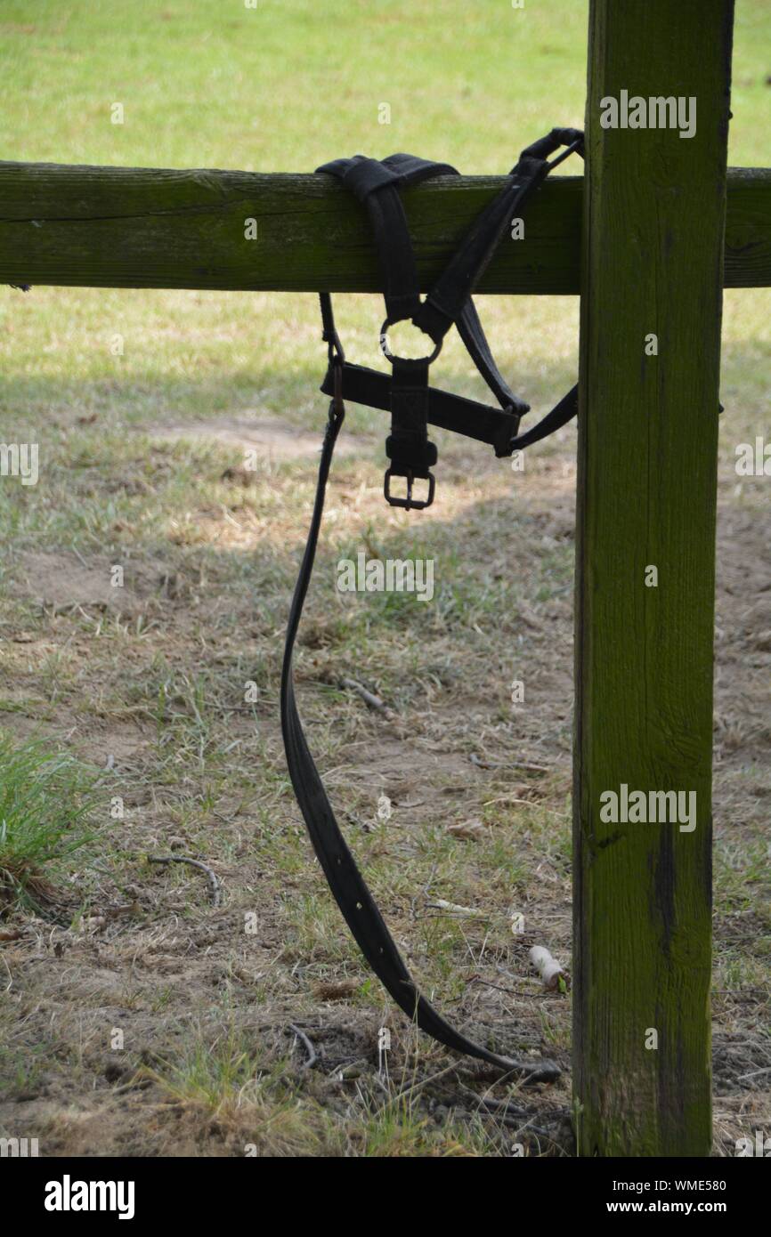 Wood leash hi-res stock photography and images - Alamy