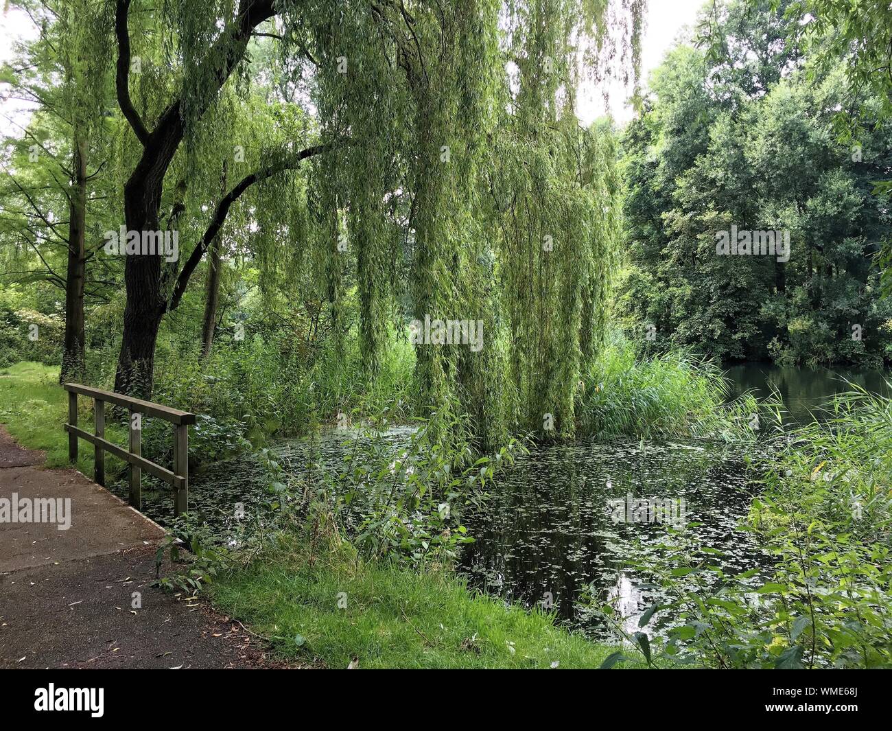 Pond Footbridge High Resolution Stock Photography and Images - Alamy
