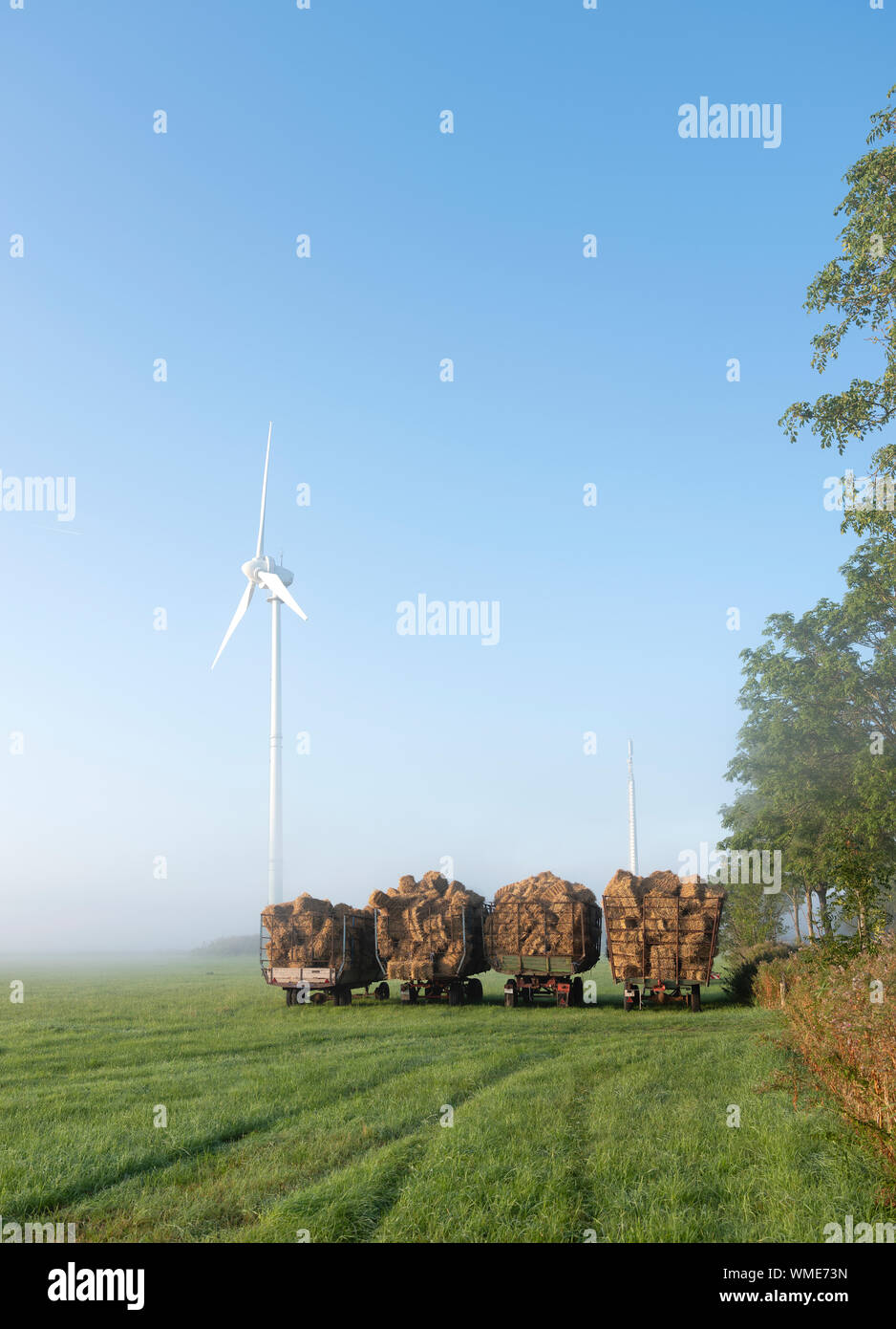 carts with straw and wind turbine in meadow on misty summer morning in ...