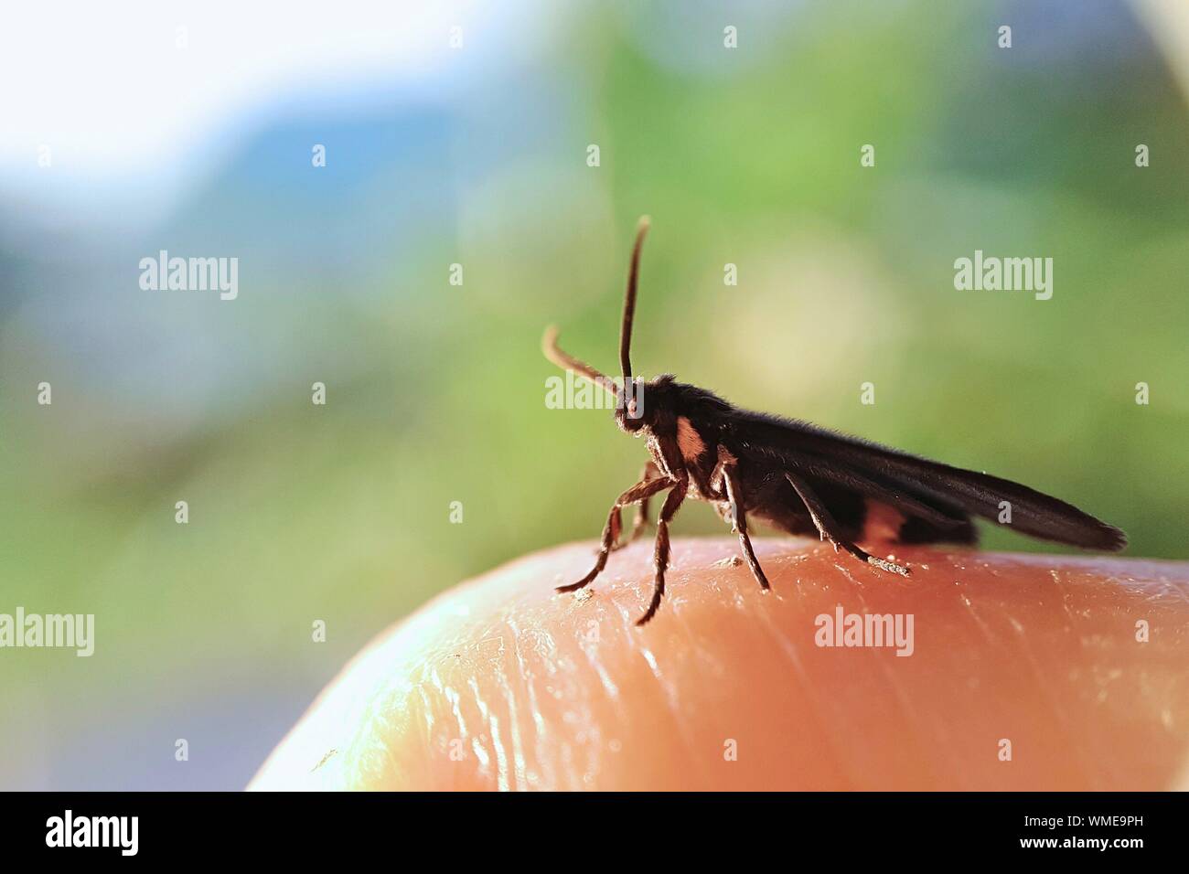 Human body part hi-res stock photography and images - Alamy