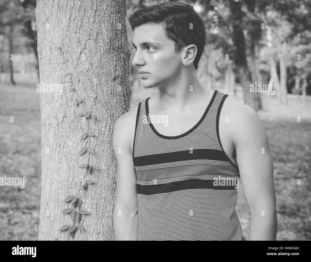 Handsome tree hi-res stock photography and images - Alamy