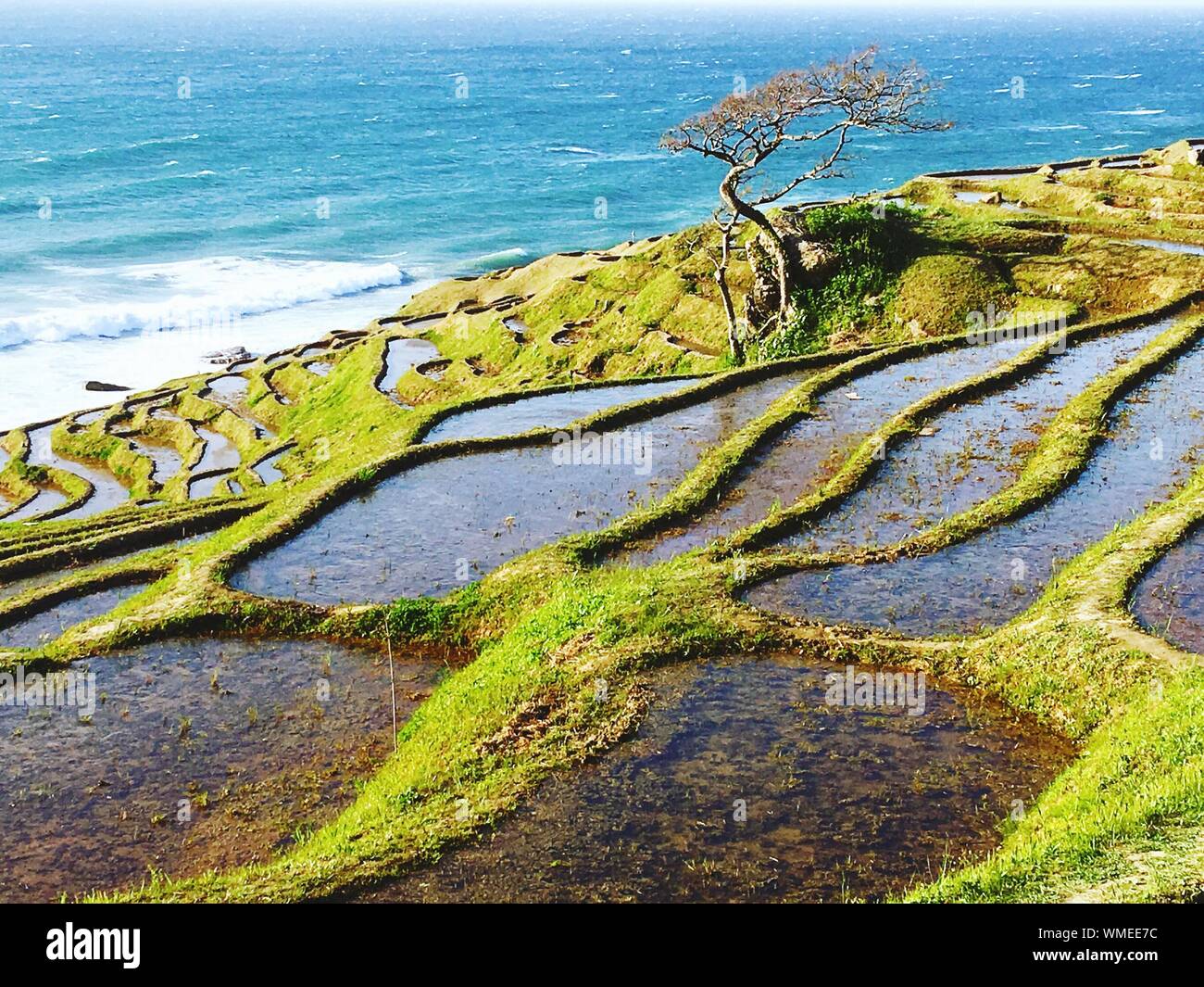 Sea rolling in hi-res stock photography and images - Alamy