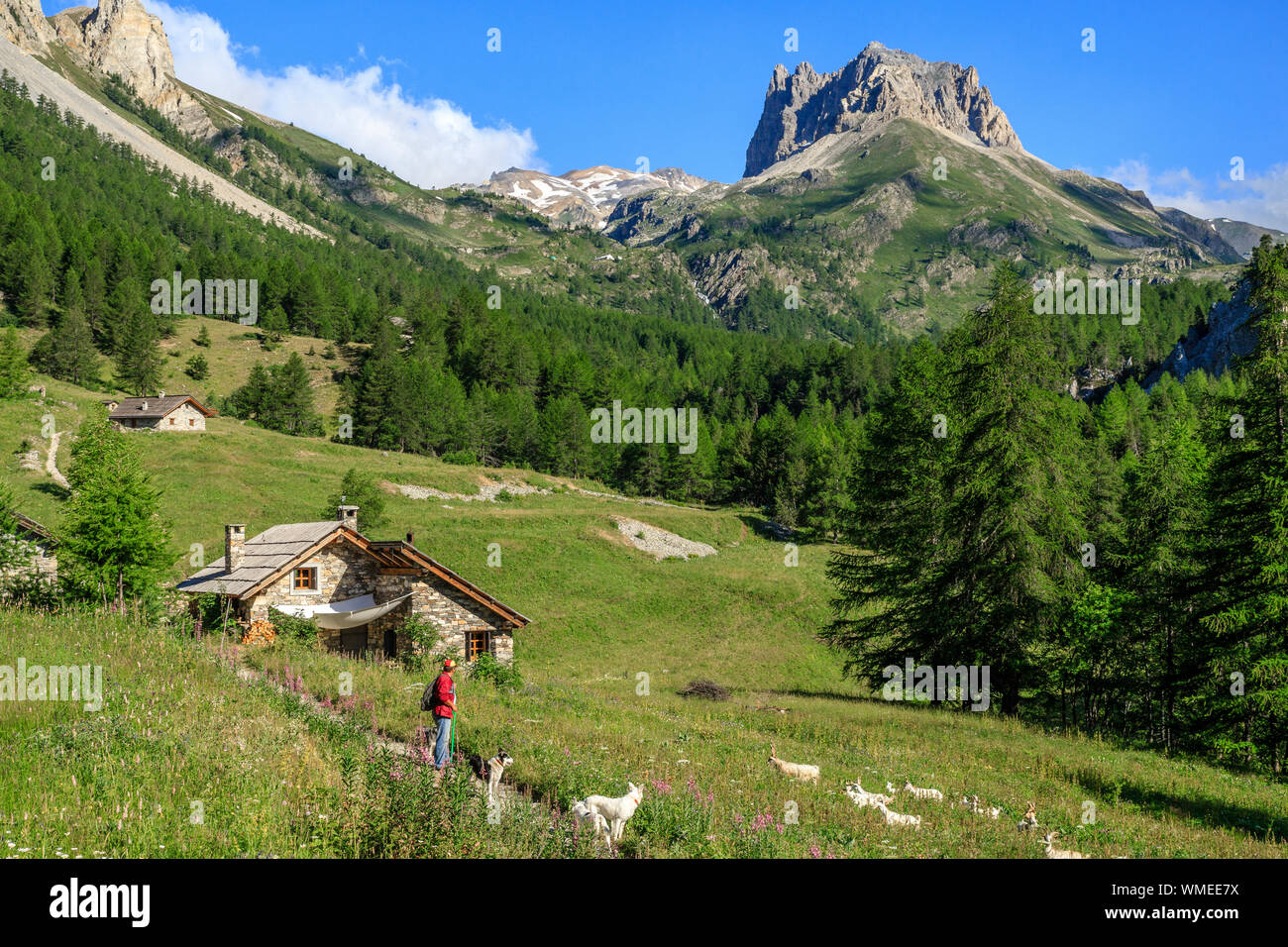 South france mountain hi-res stock photography and images - Alamy