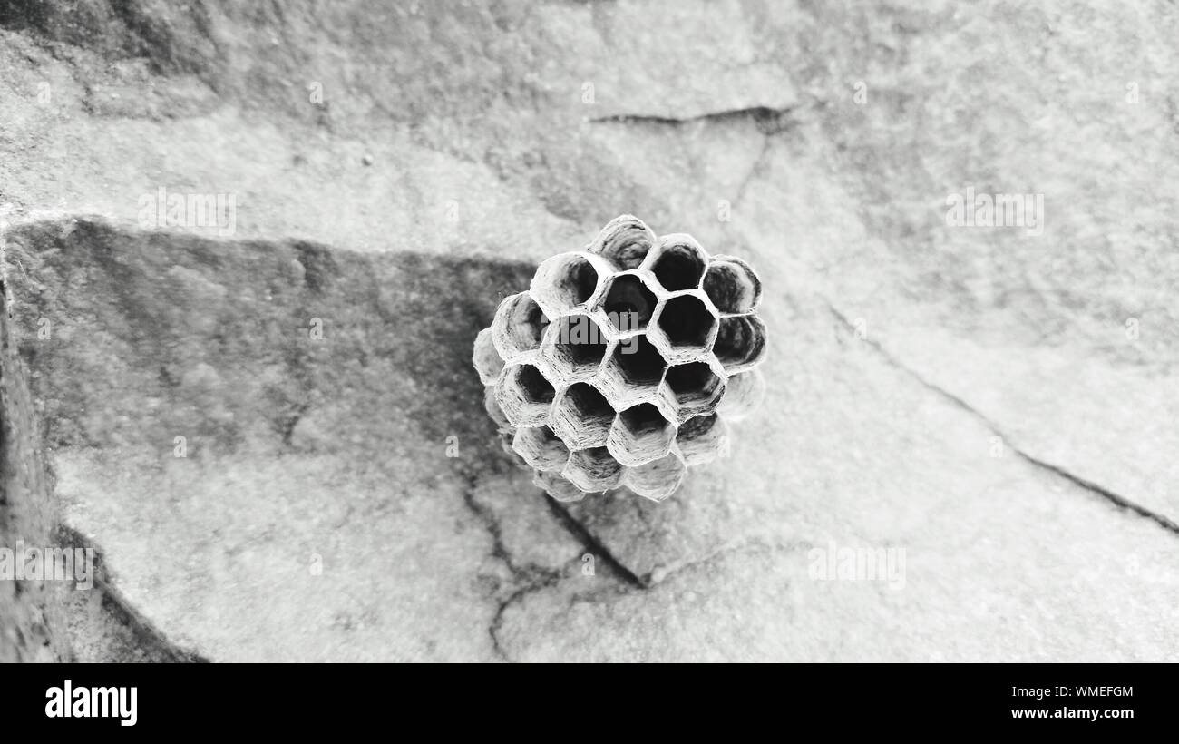 Honeycomb rock hi-res stock photography and images - Alamy