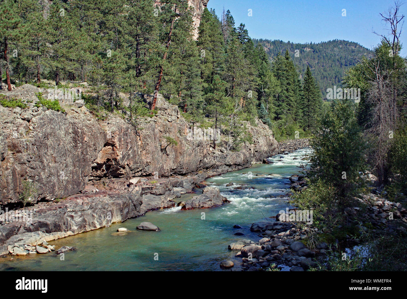 Cliff forest hi-res stock photography and images - Alamy