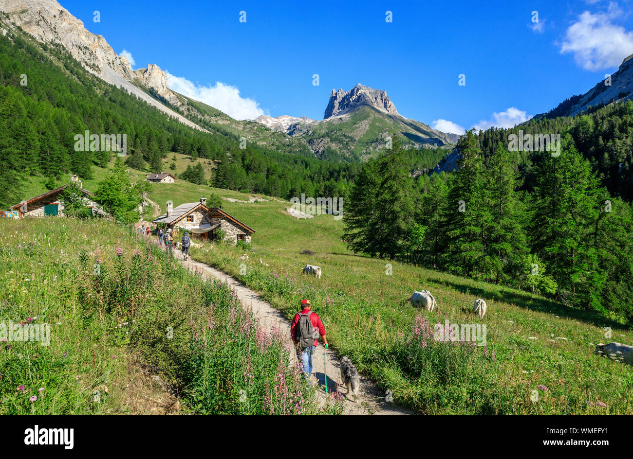 France, Hautes-Alpes, Nevache, Etroite Valley, hiking trail with the ...