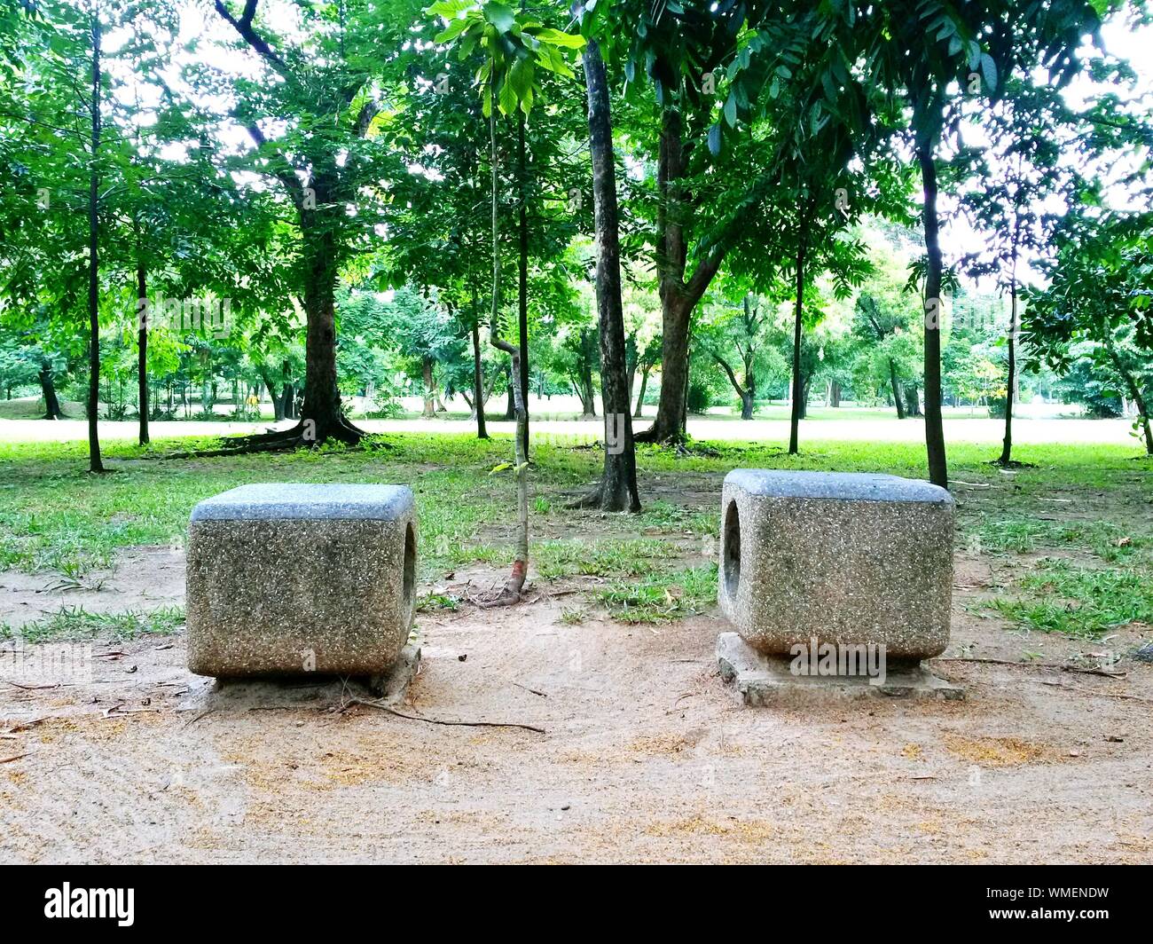 Park seats trees hi-res stock photography and images - Alamy