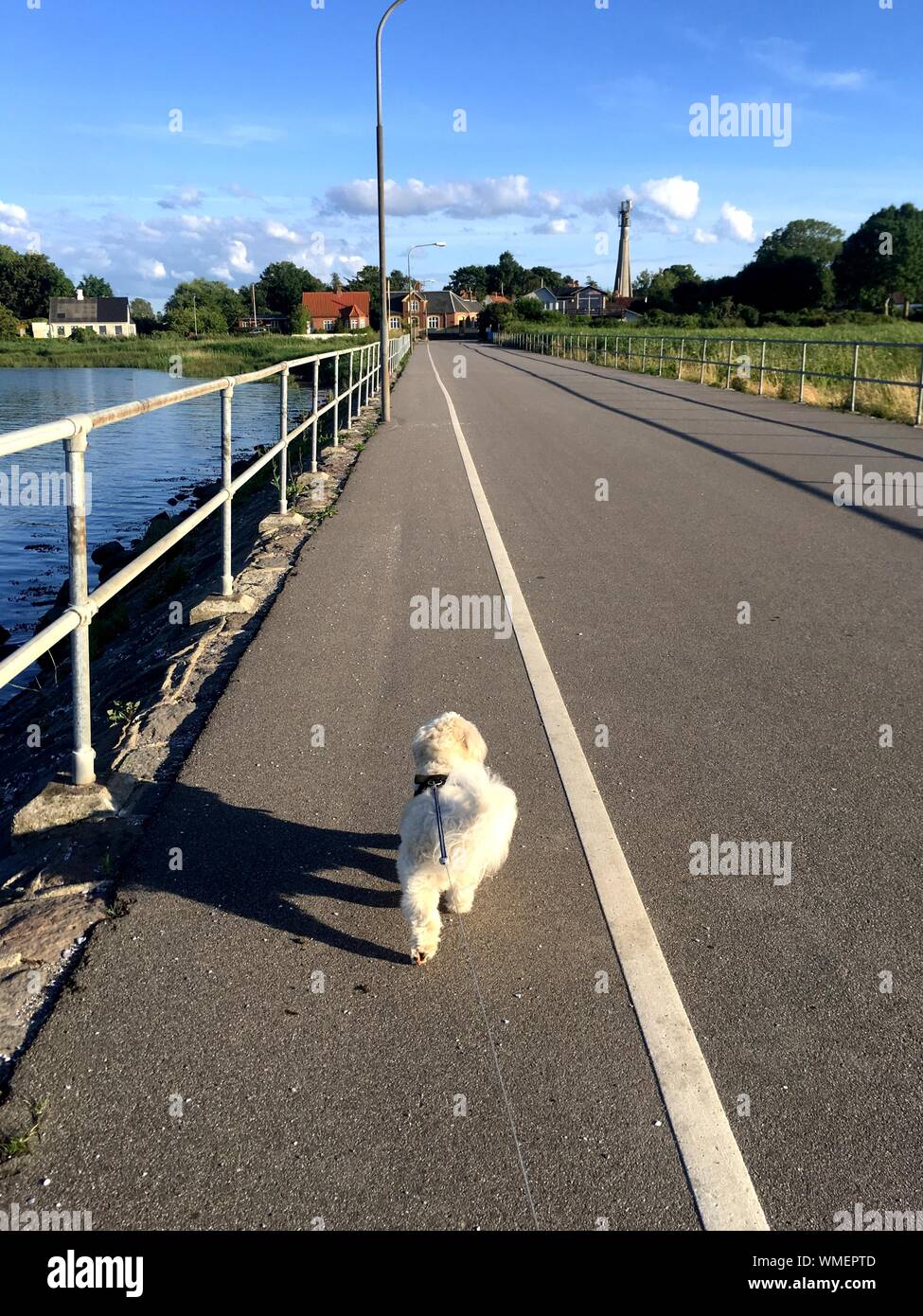 Walking dog bridge High Resolution Stock Photography and Images - Alamy
