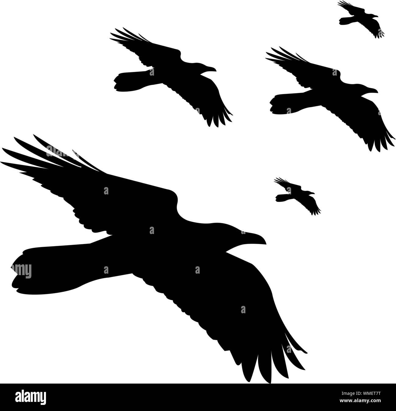 Ravens and crows Cut Out Stock Images & Pictures - Alamy