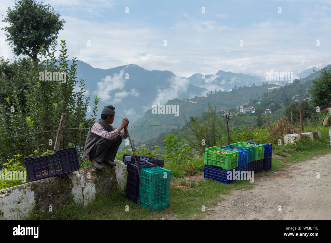 Himachal pradesh apples hi-res stock photography and images - Alamy
