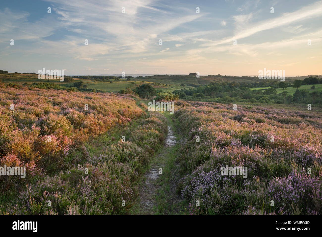 Ashdown forest sussex hi-res stock photography and images - Alamy