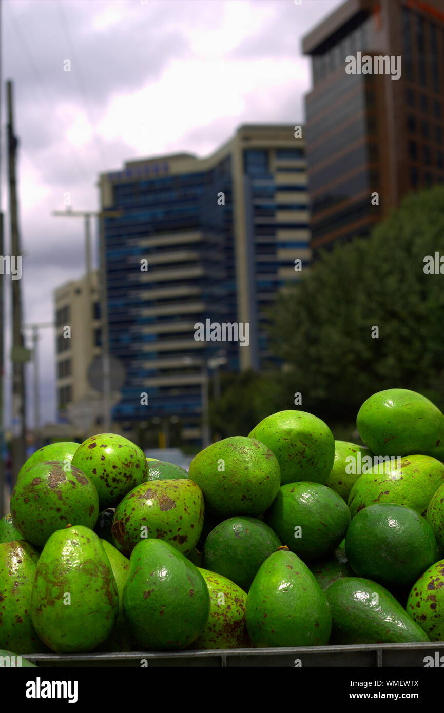 Avocado market hi-res stock photography and images - Alamy