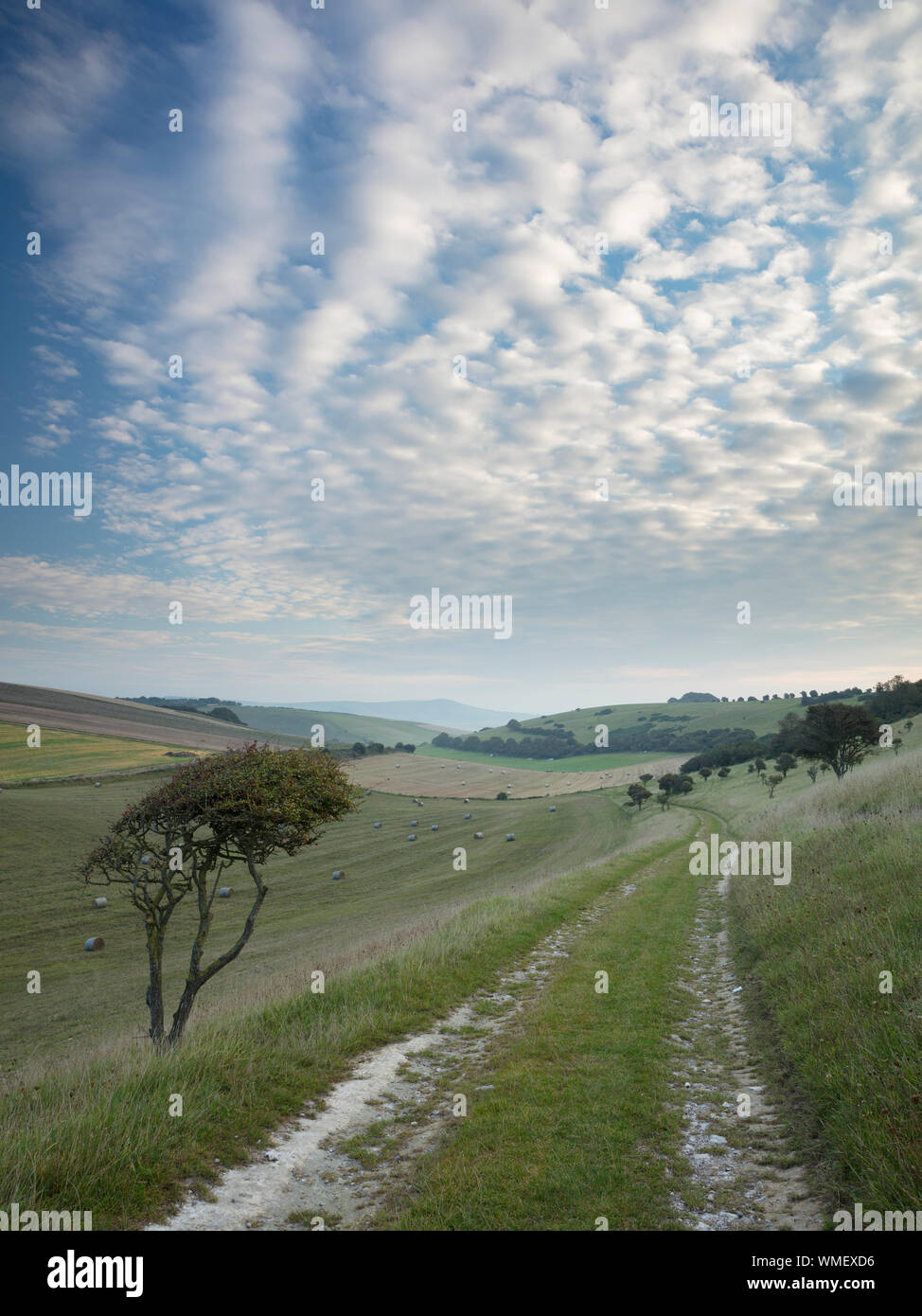 Telscombe hi-res stock photography and images - Alamy