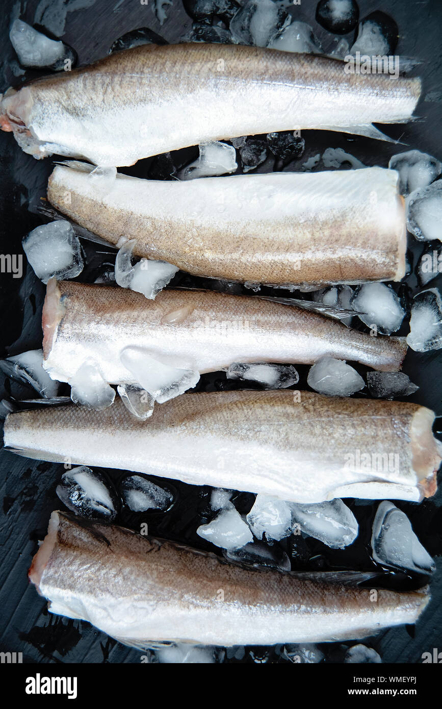 Raw fish hake. Five Raw fish fillet on ice on dark background, food ...