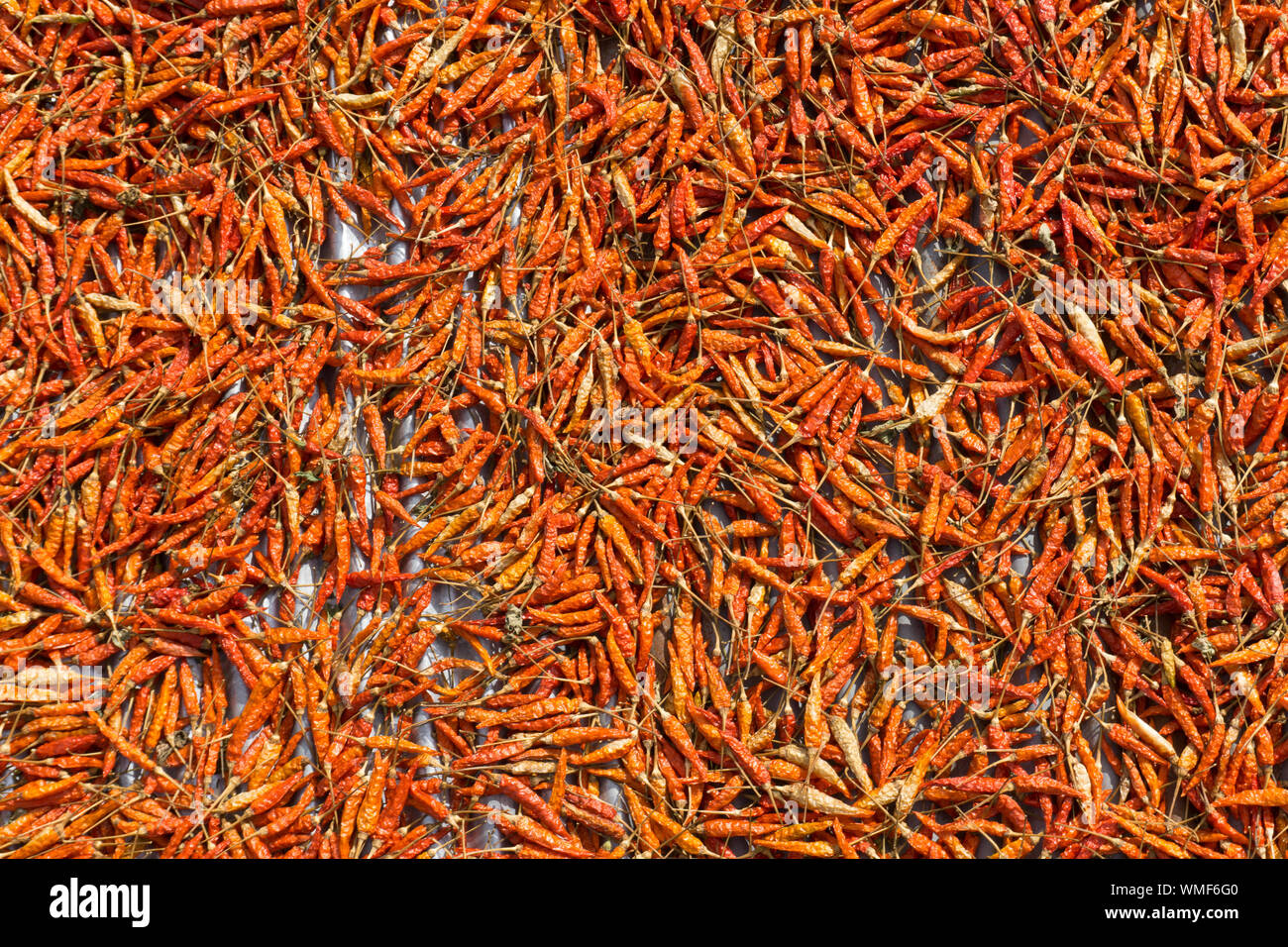 Drying chili pepper hi-res stock photography and images - Alamy