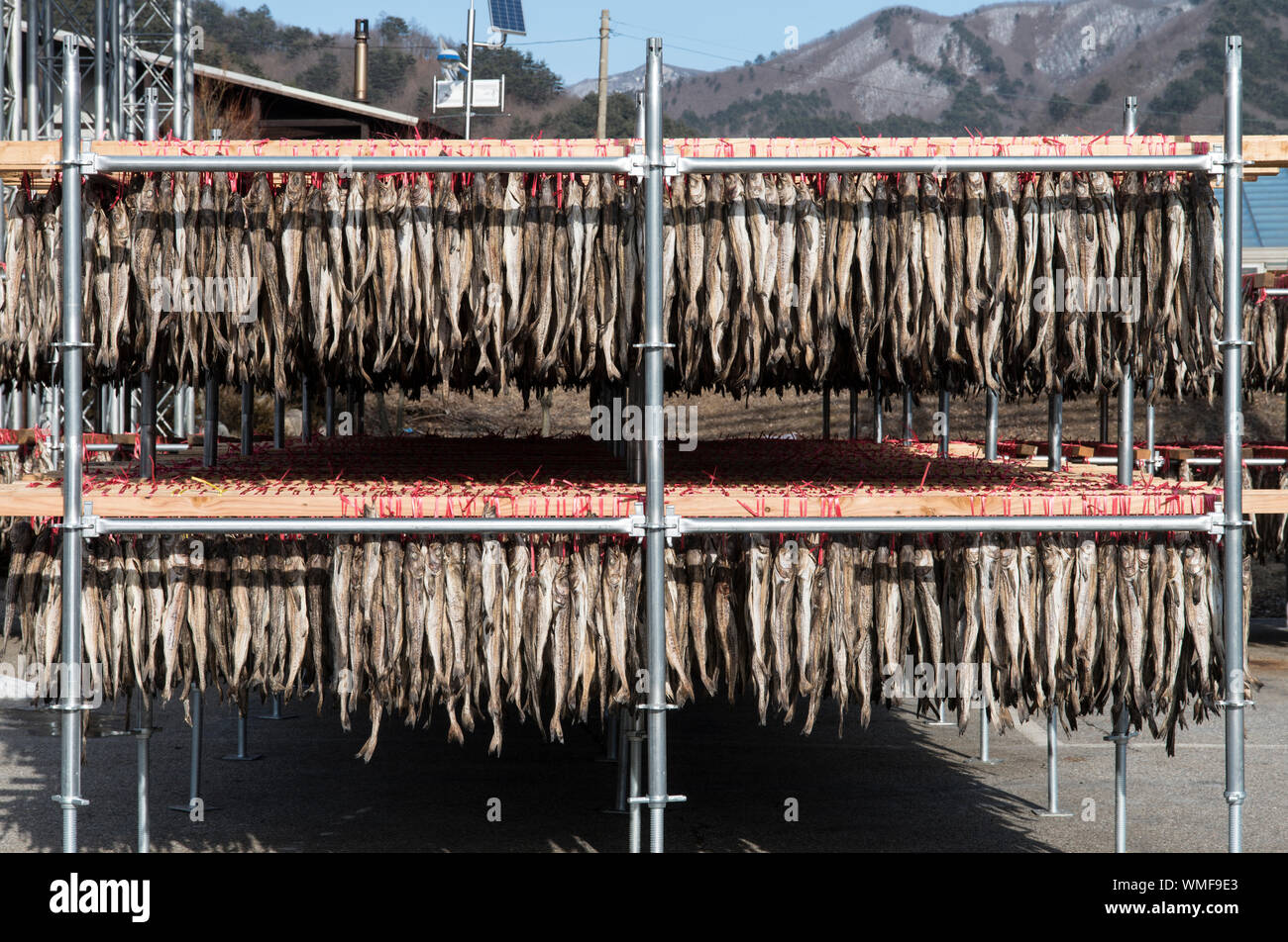 Fish Drying Rack High Resolution Stock Photography and Images - Alamy