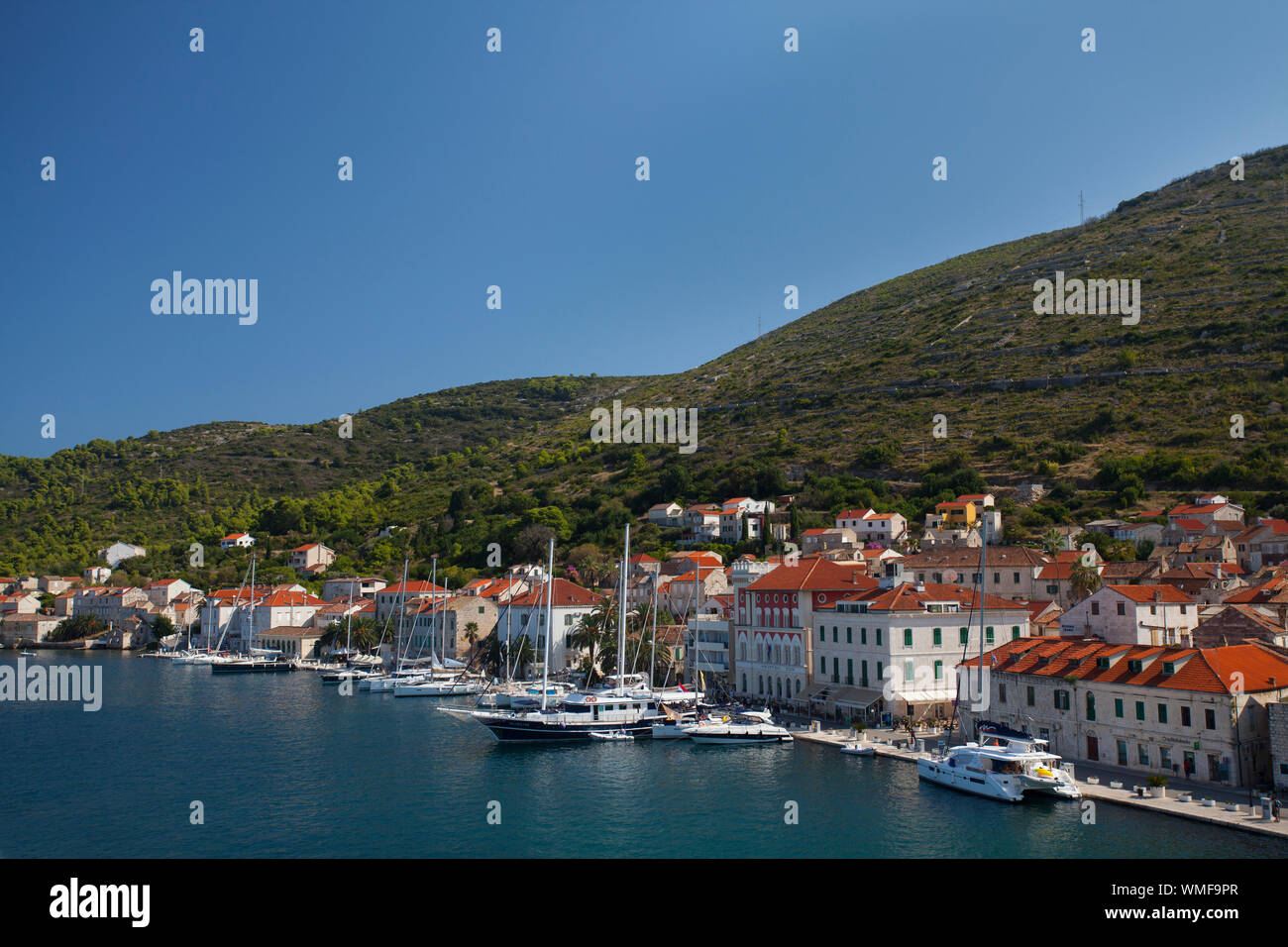 Vis hi-res stock photography and images - Alamy