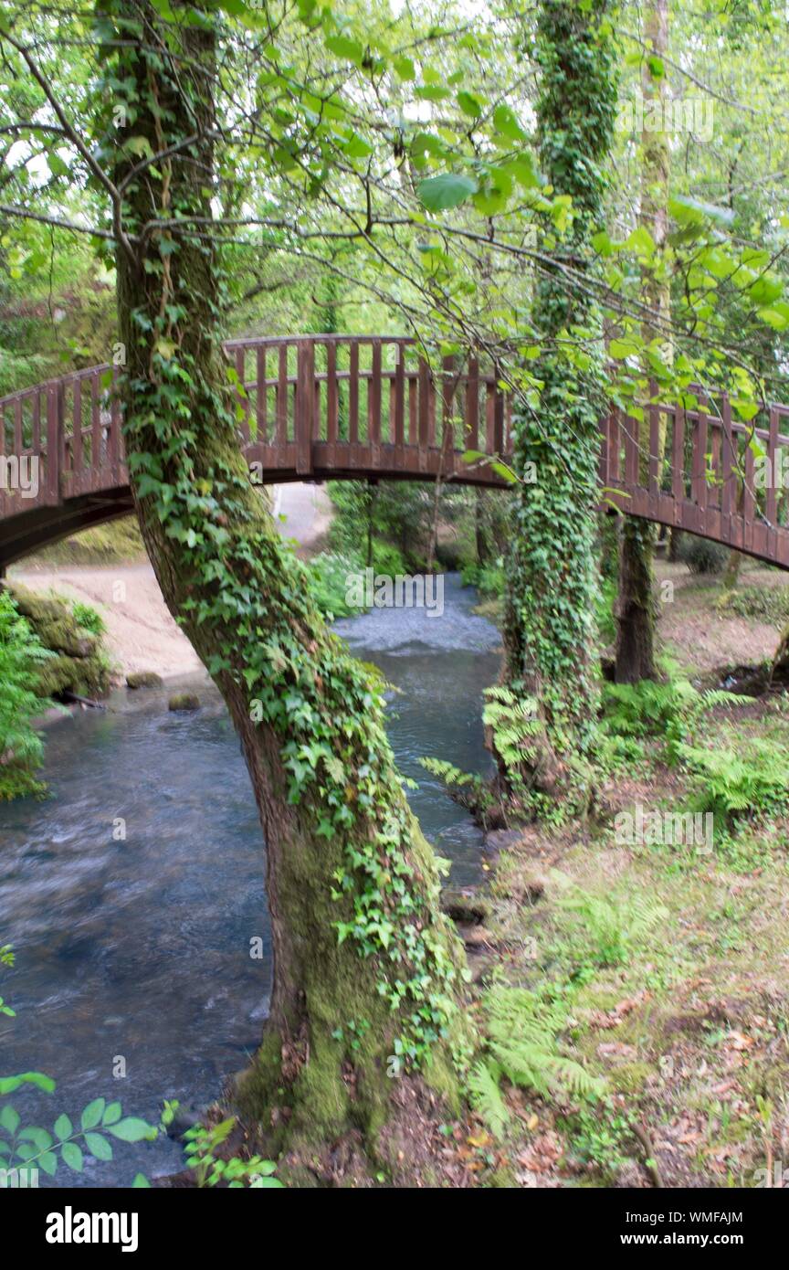 Pedestrian bridge over small stream hi-res stock photography and images ...