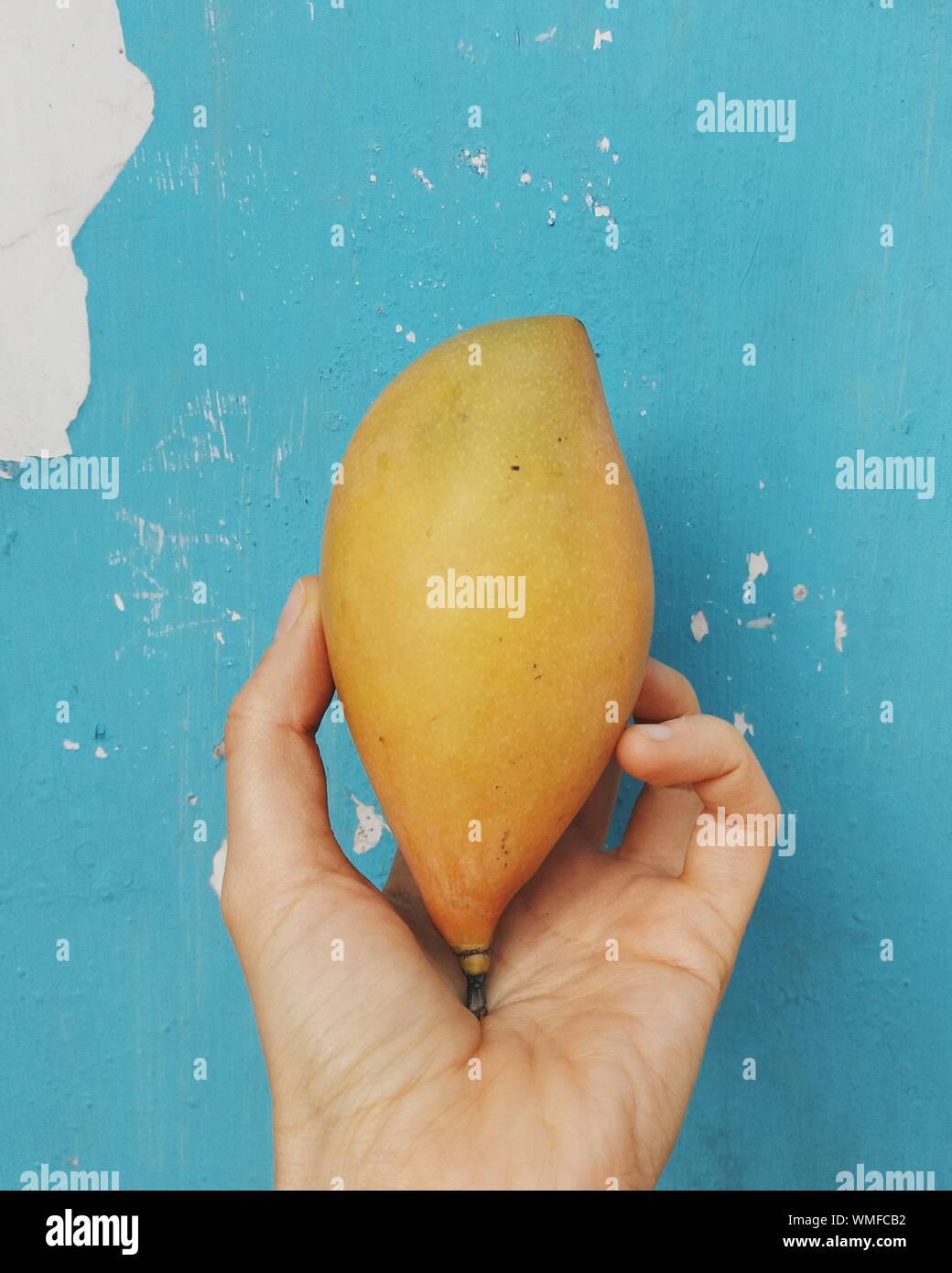 Mango india wall hi-res stock photography and images - Alamy