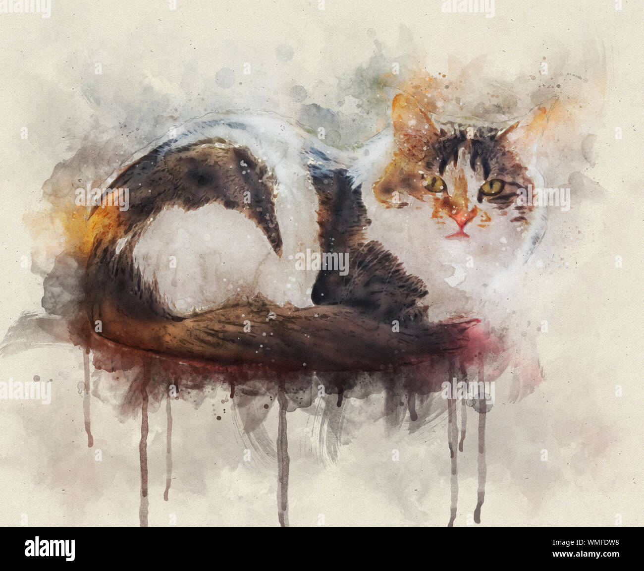 Portrait of a calico cat at home. Calico cats are domestic cats with a ...