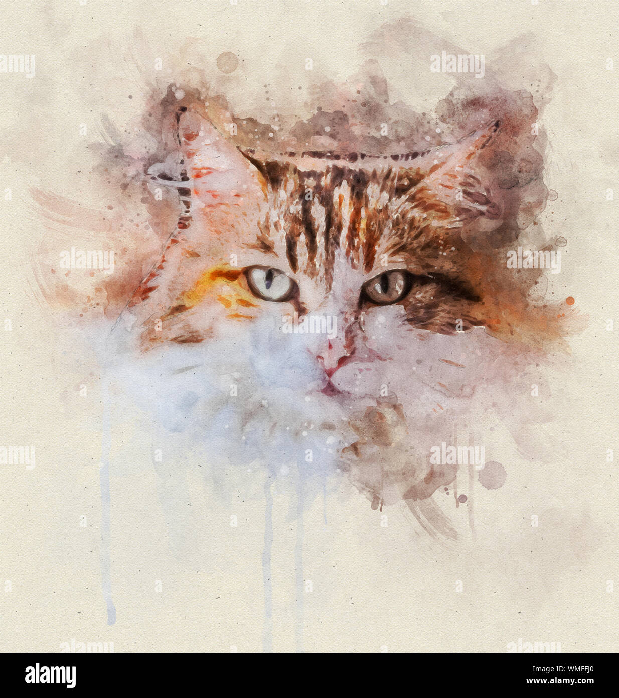 Spotted cats ear hi-res stock photography and images - Alamy