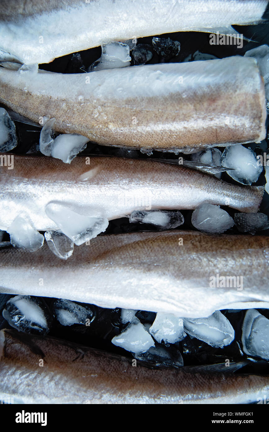 Raw fish hake. Five Raw fish fillet on ice on dark background, food ...