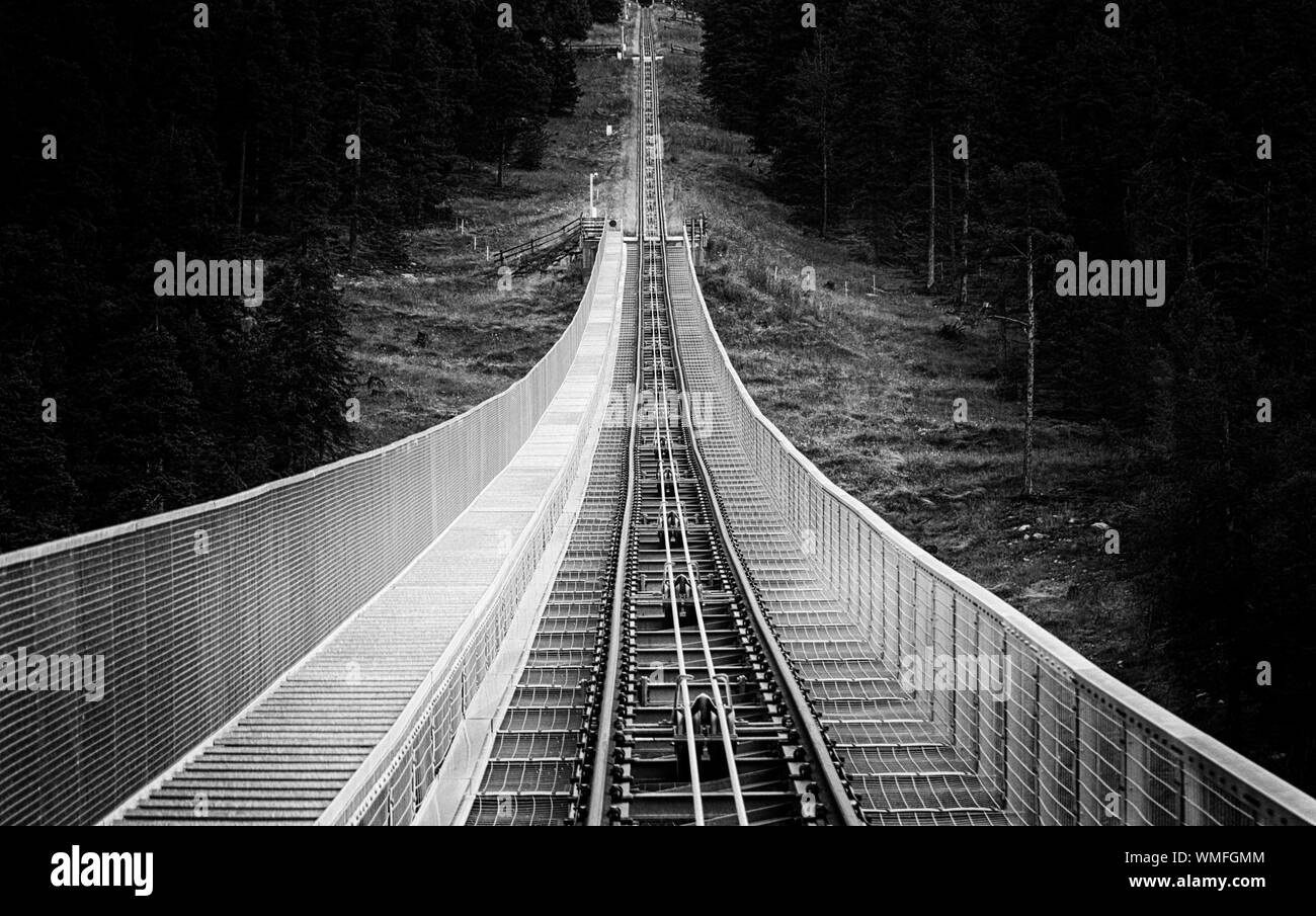 Railway trees hi-res stock photography and images - Alamy