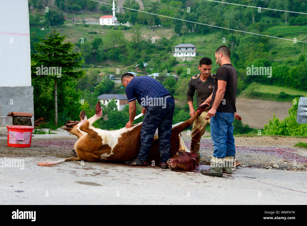 Butchering hi-res stock photography and images - Alamy