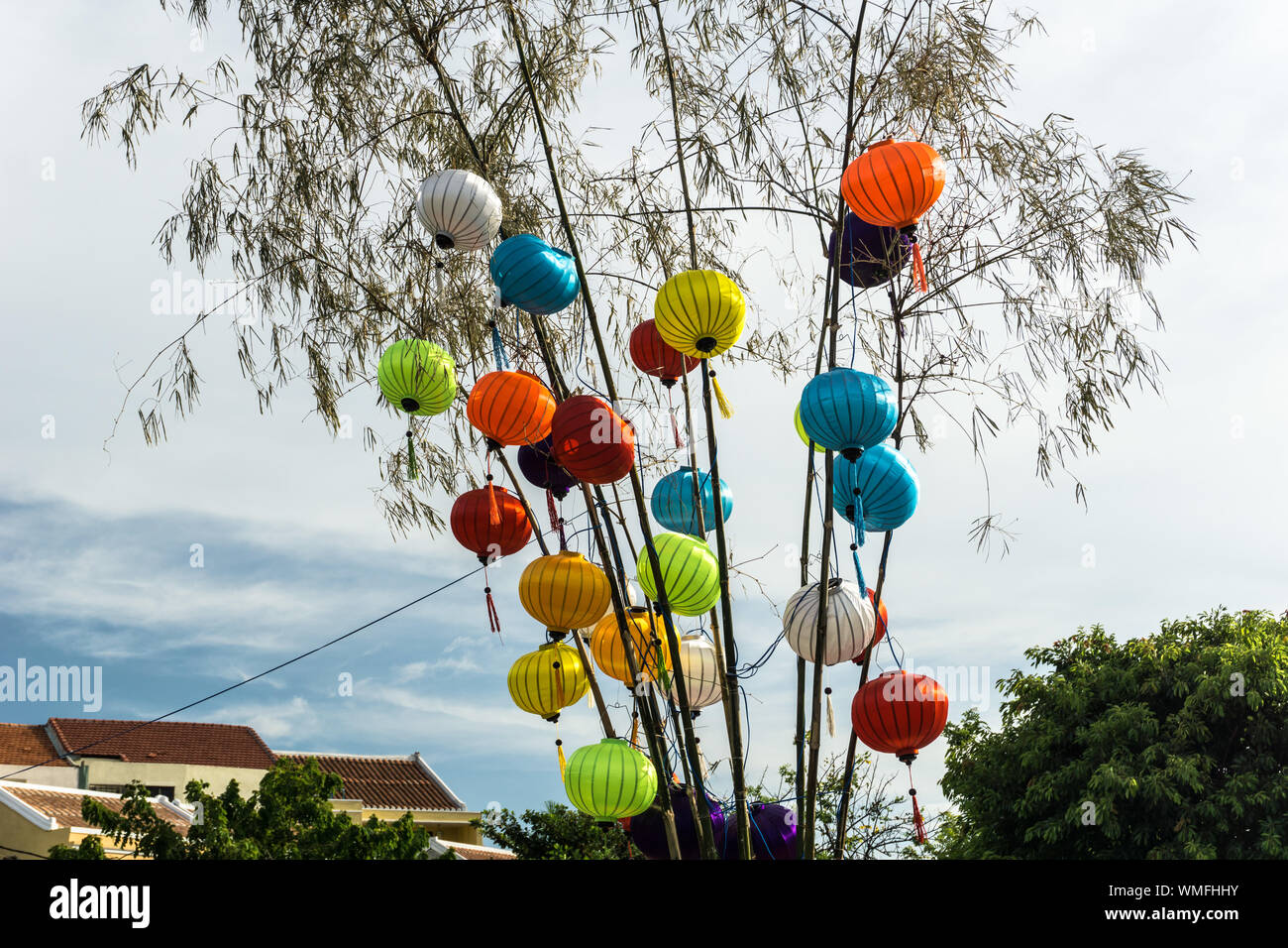Chinese Lantern Tree Stock Photos & Chinese Lantern Tree Stock Images ...