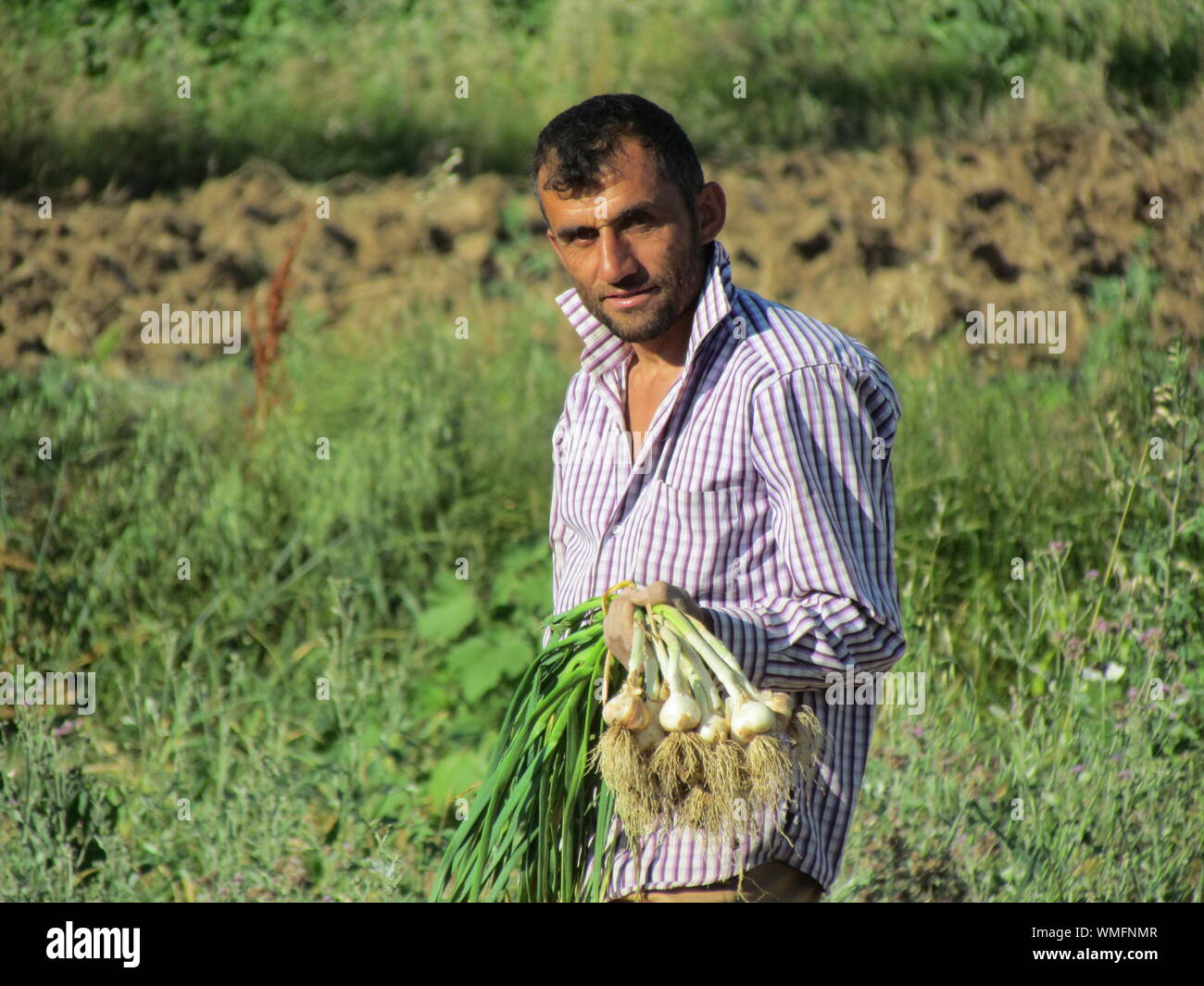 Organic scallions hi-res stock photography and images - Alamy