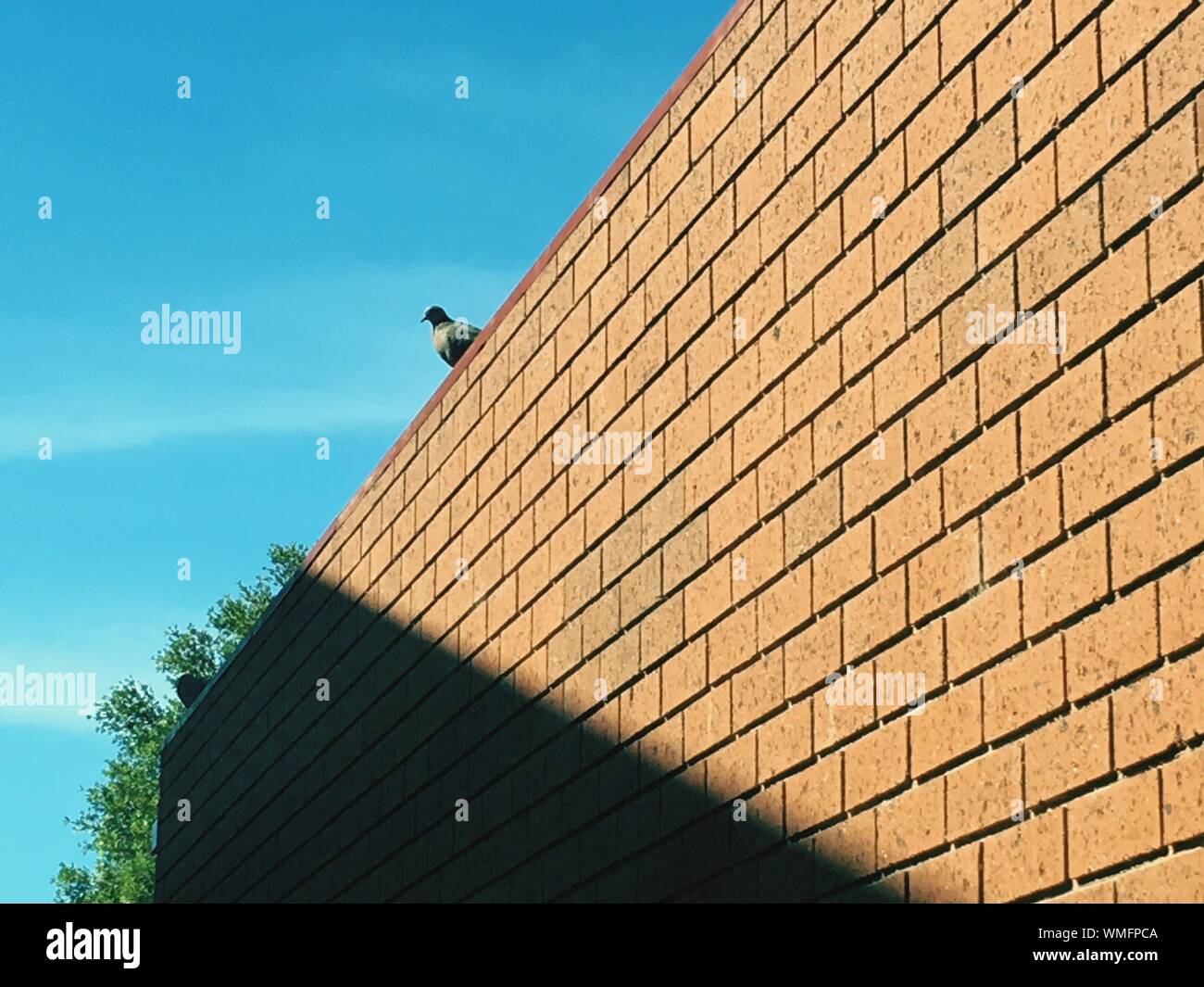 Brick ledge hi-res stock photography and images - Alamy