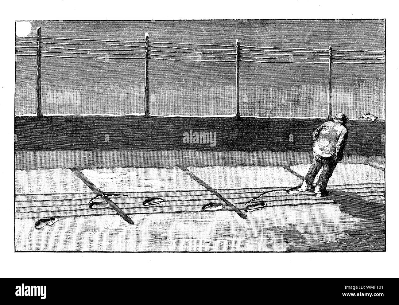 People on street night Cut Out Stock Images & Pictures - Alamy