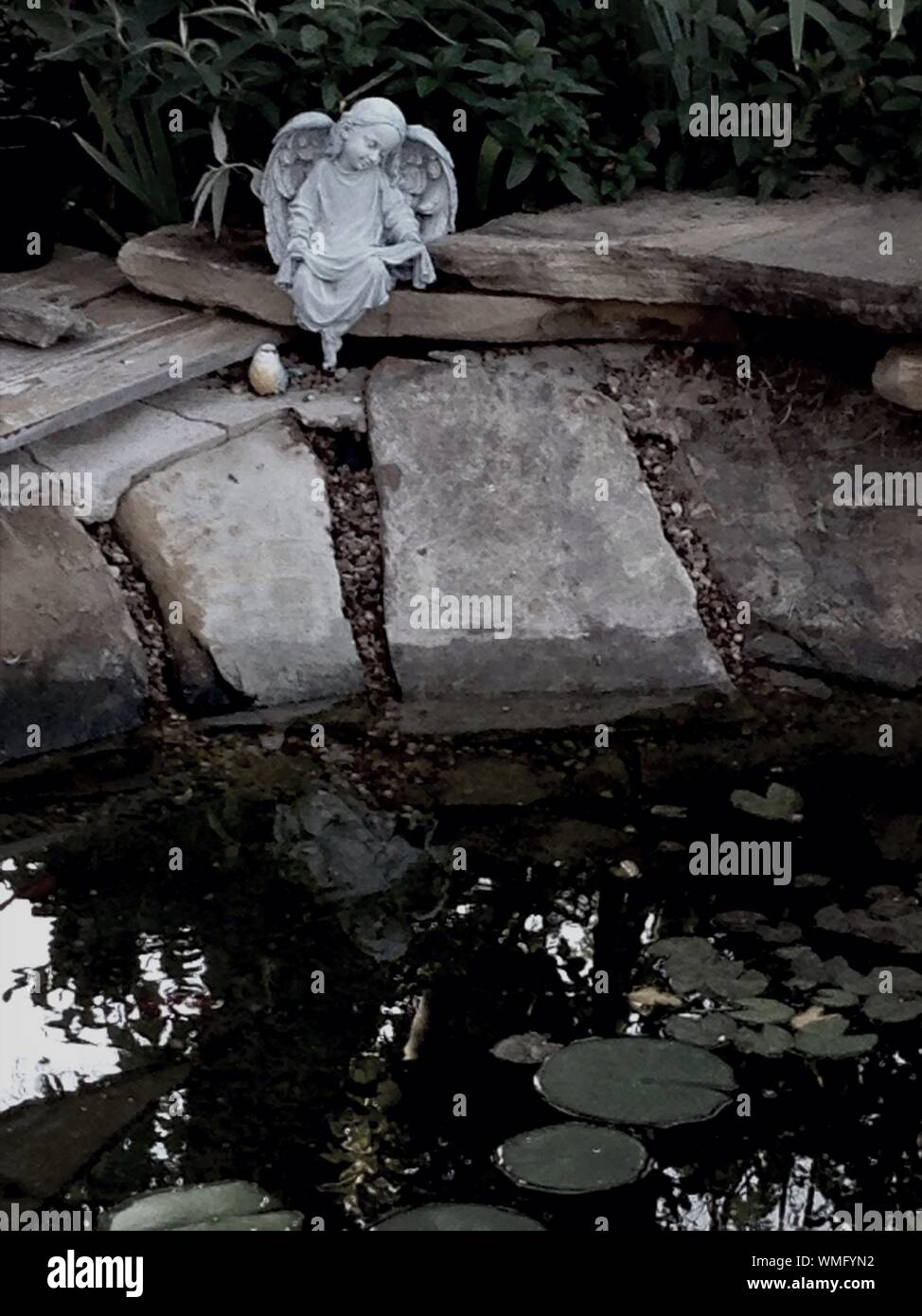 Angel pond hi-res stock photography and images - Alamy